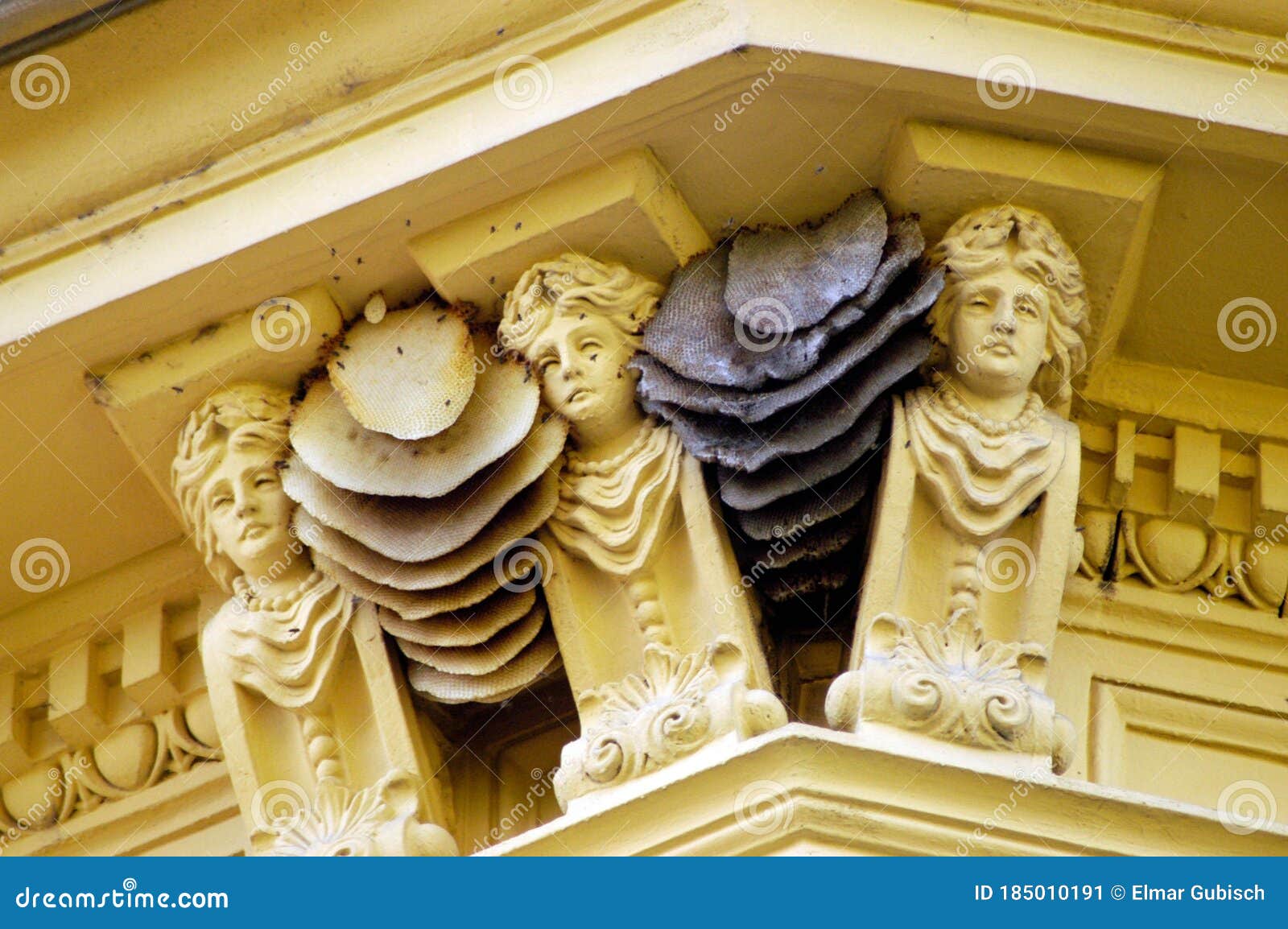 Wild Bees and Honeycomb on Facade of a Building Stock Image - Image of ...