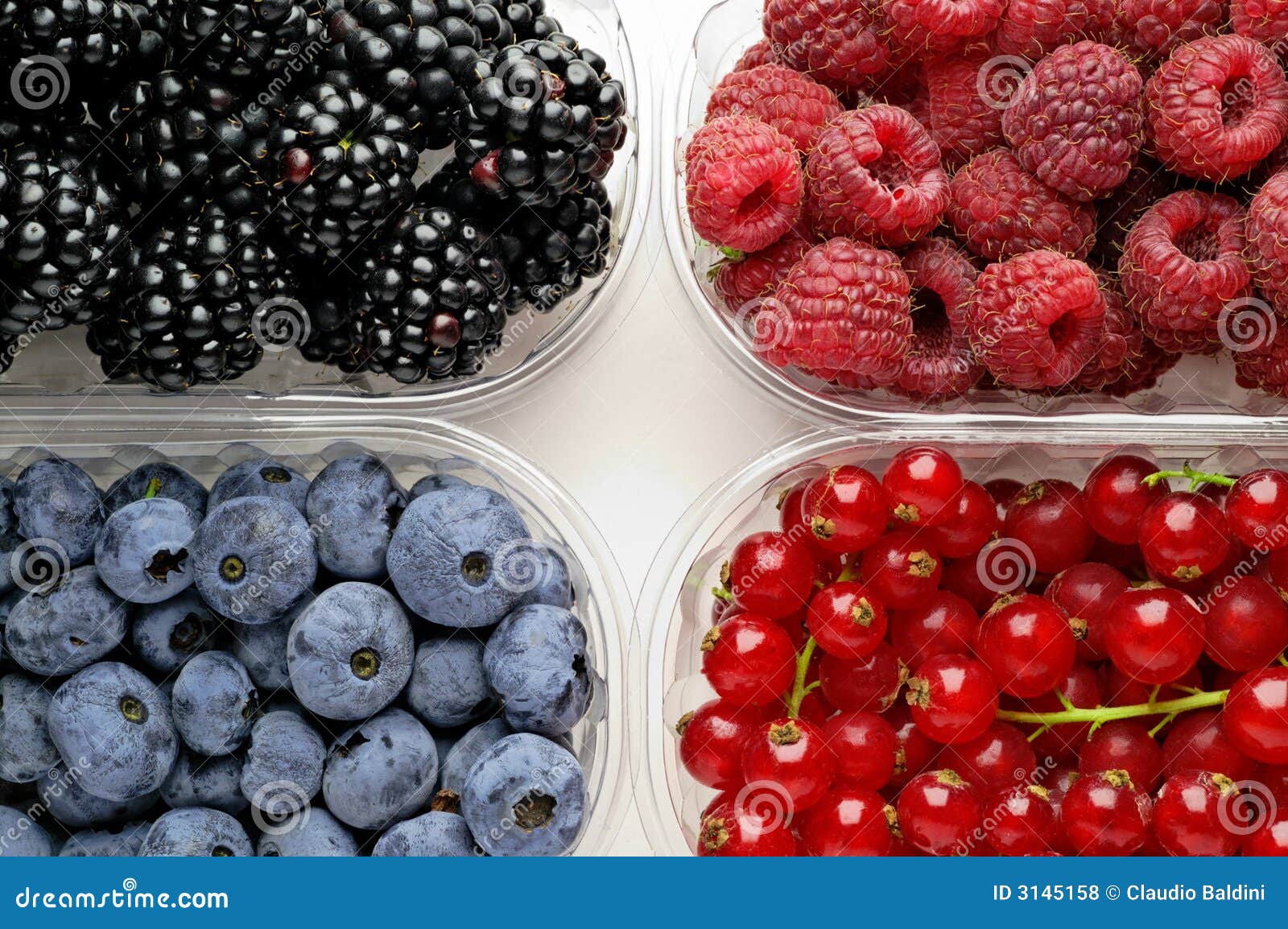 Wild berries stock photo. Image of fruit, isolated, eating - 3145158