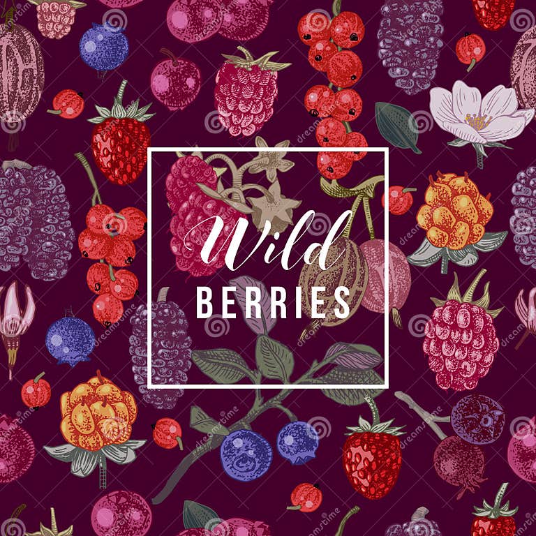 Wild Berries Emblem Over Seamless Pattern with Hand Drawn Berries Stock ...