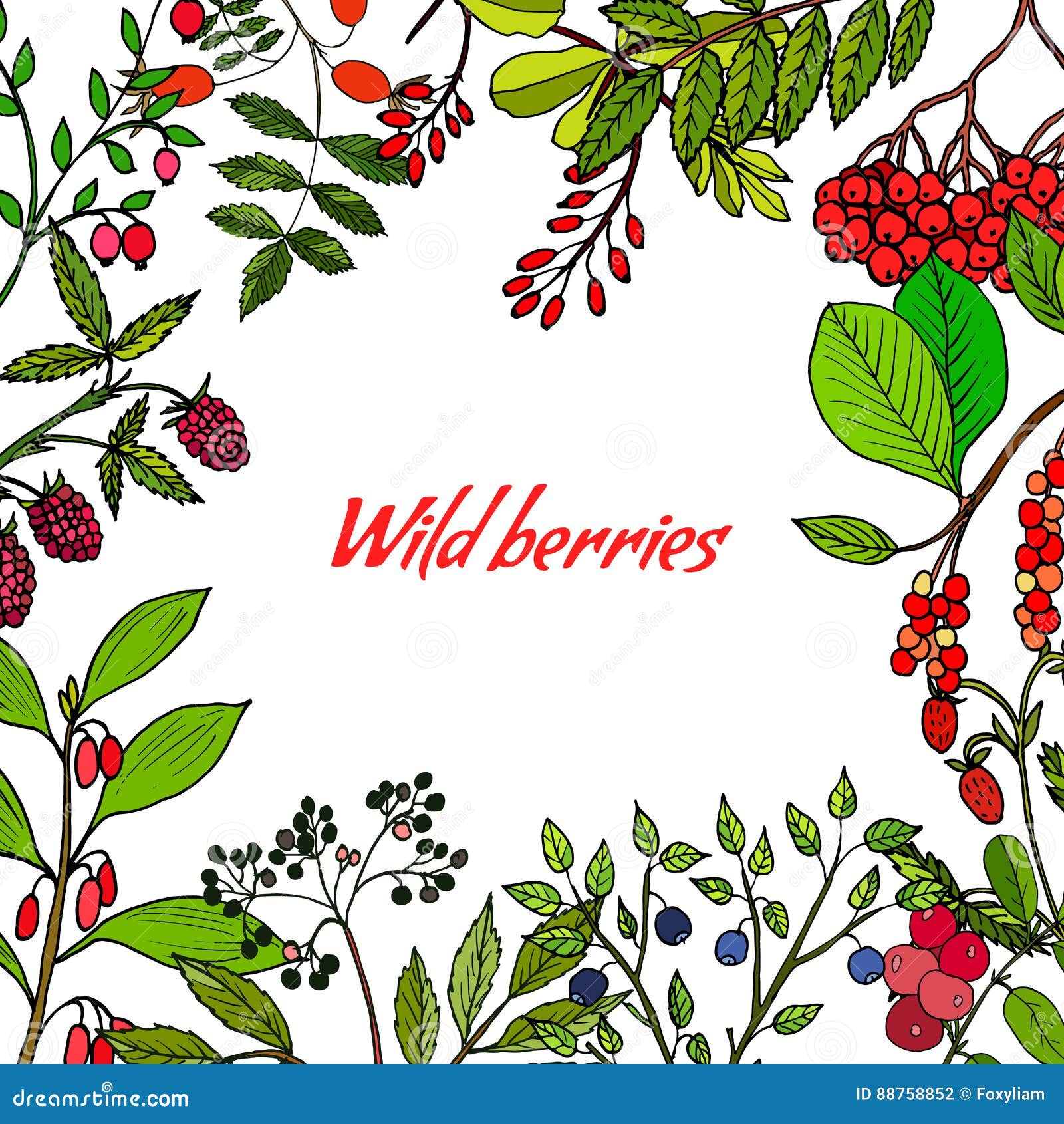 Wild berries set stock vector. Illustration of berry - 88758852