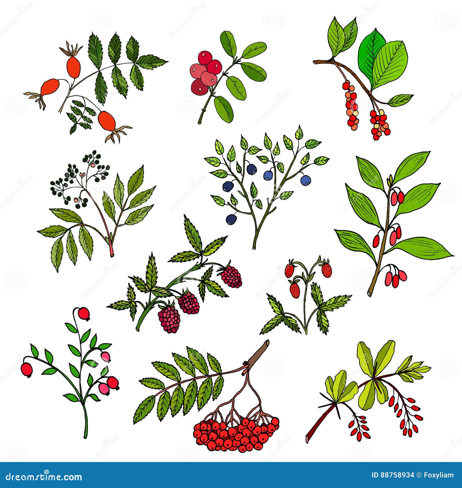 Fiveflavor Cartoons, Illustrations & Vector Stock Images - 10 Pictures ...