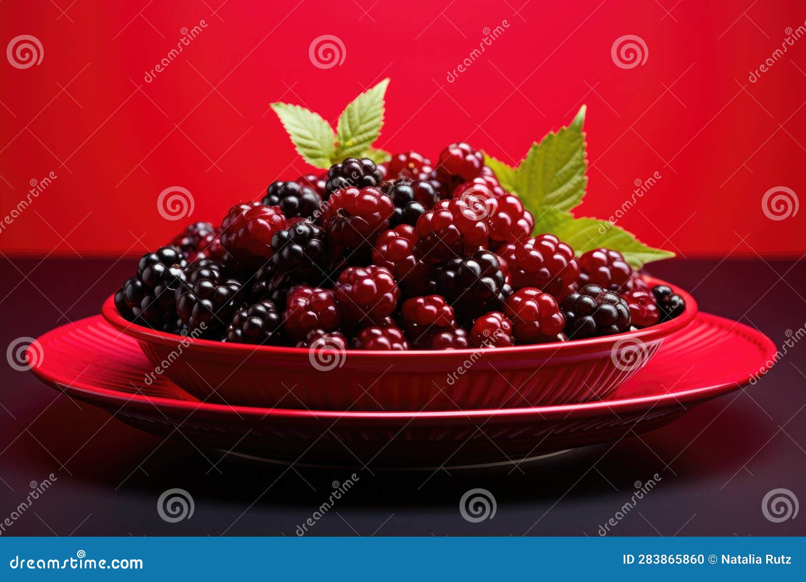 Wild Berry on Beautiful Red Plate Stock Illustration - Illustration of ...