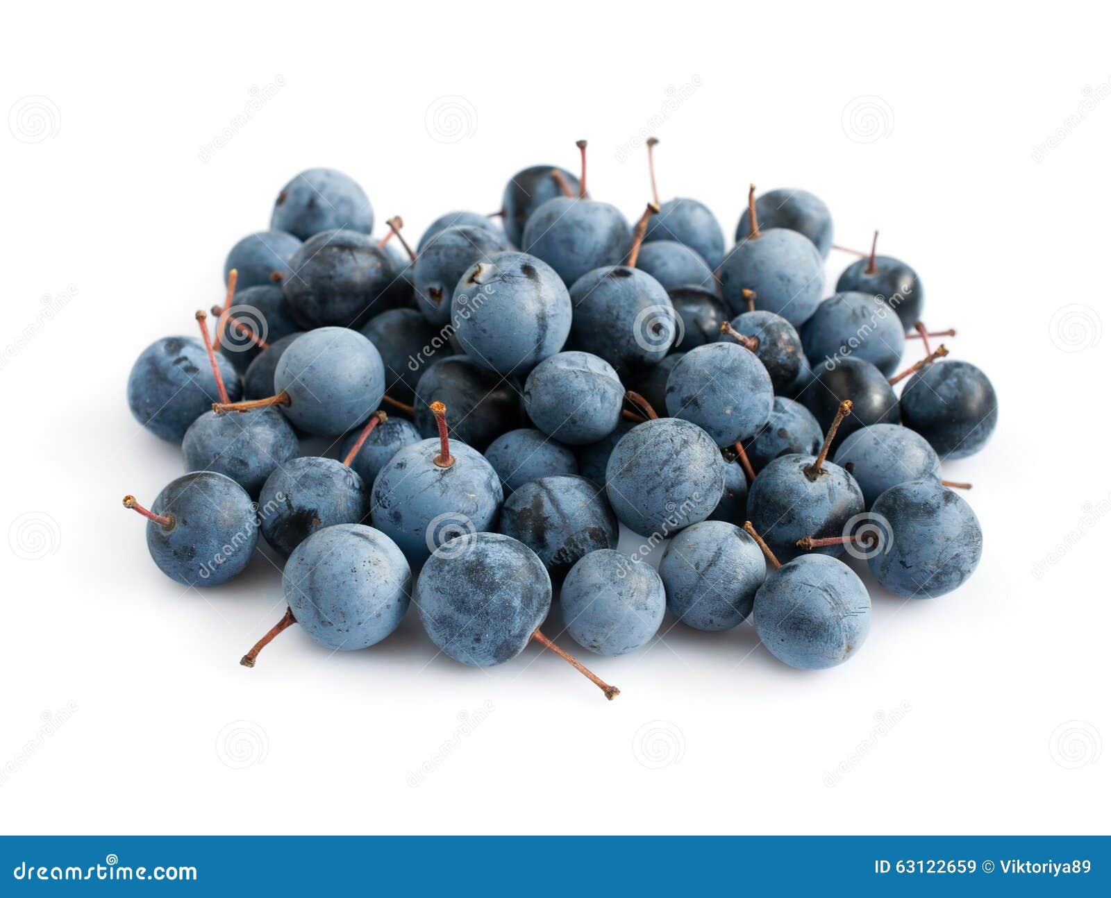Wild berry thorn stock image. Image of astringent, vegetables - 63122659