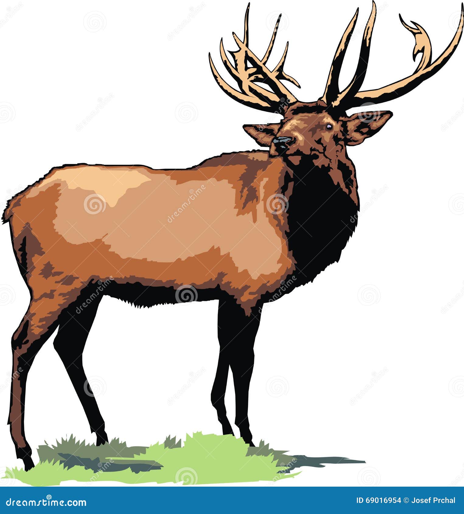 Brown Buck Deer Animal Vector Illustration Transparent Background ...