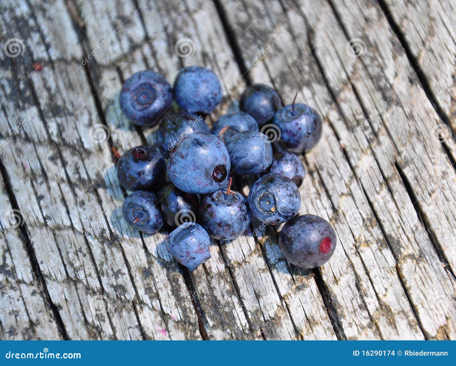 Wild bilberries on wood stock photo. Image of huckleberry - 16290174
