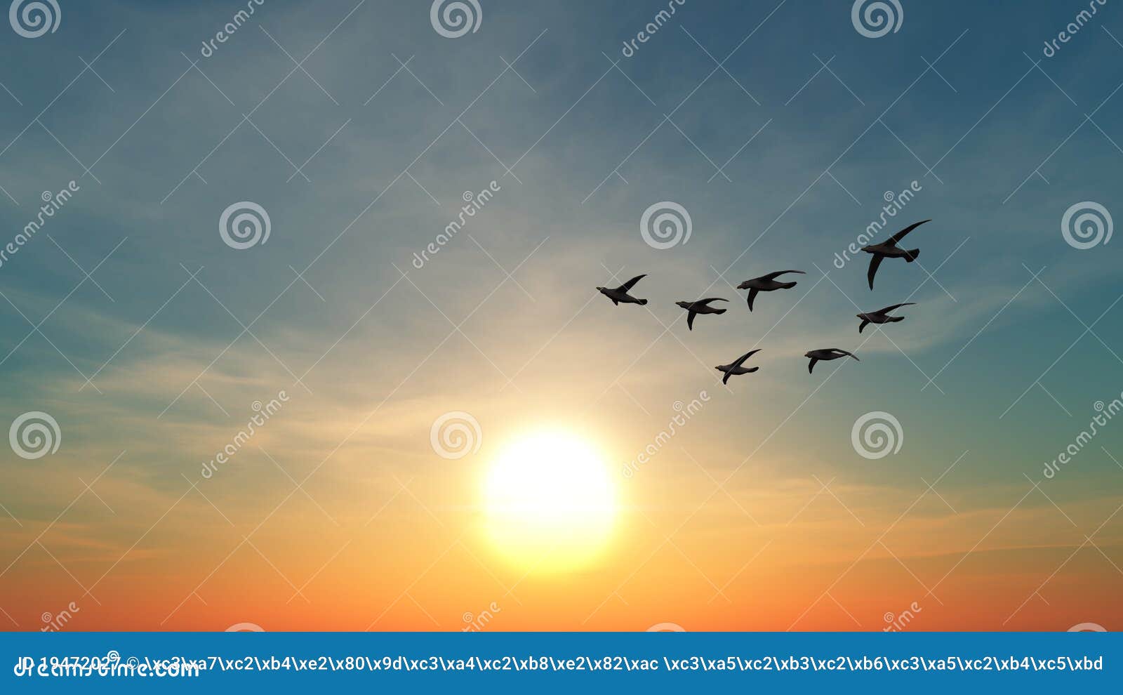 Wild birds stock illustration. Illustration of sunset - 19472027