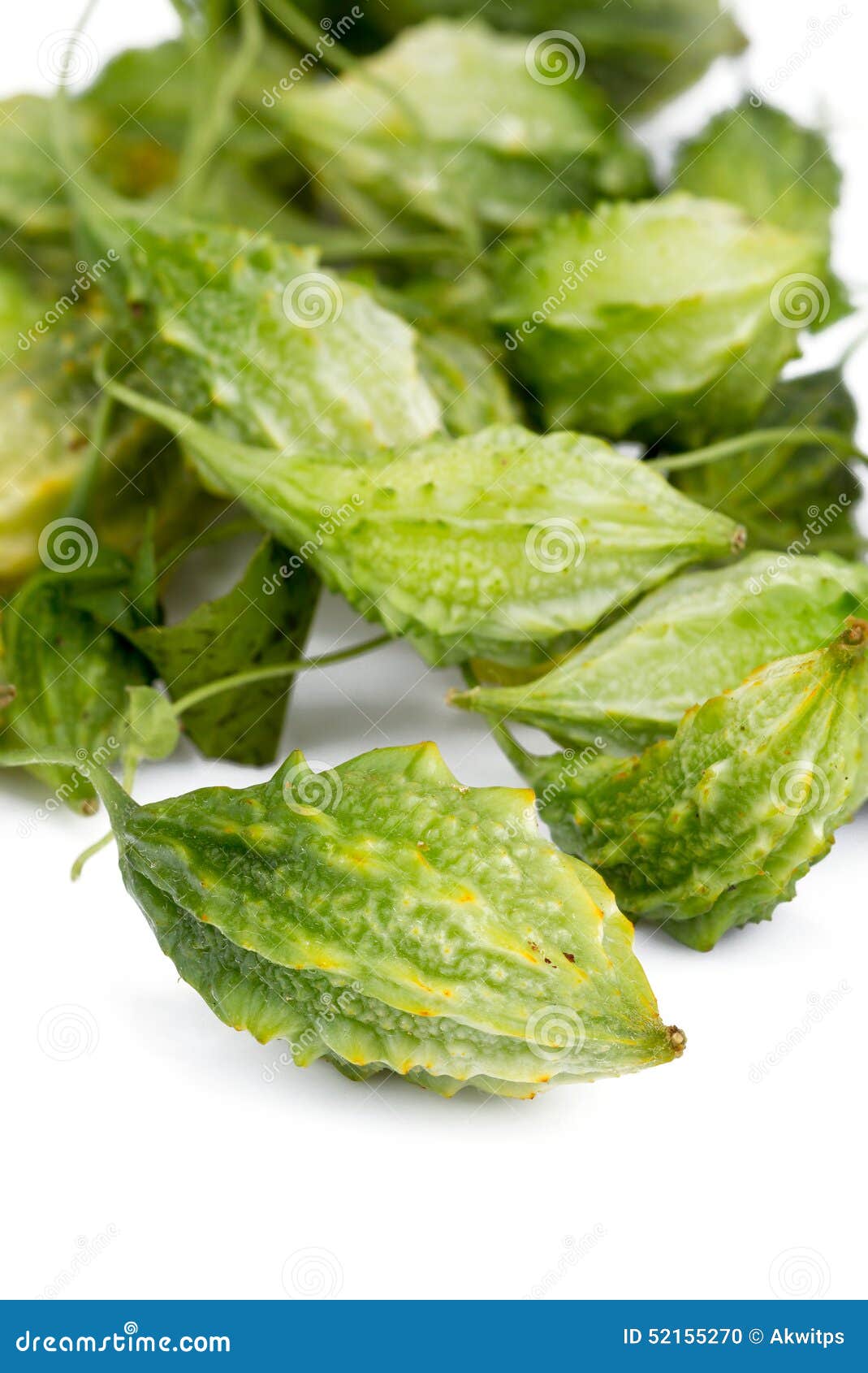 Wild Bitter Gourd on White Background Stock Photo - Image of balsam ...
