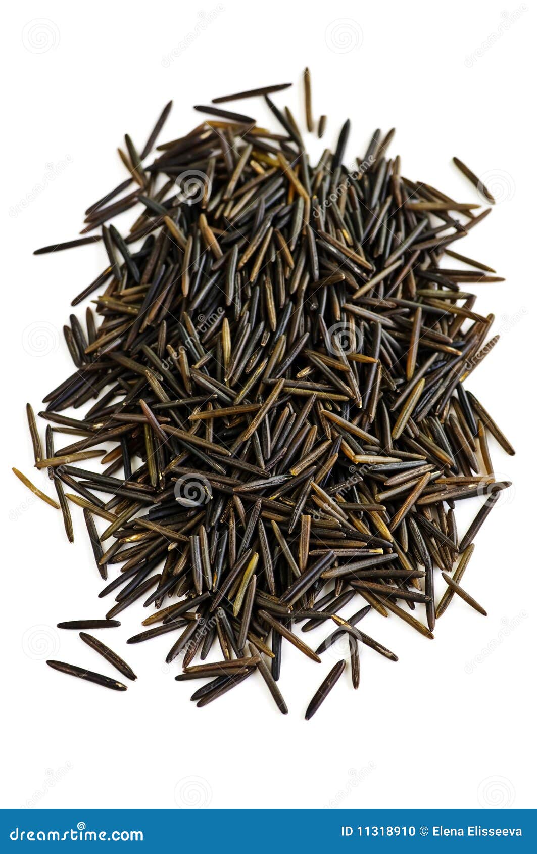 Wild black long grain rice stock photo. Image of loose - 11318910