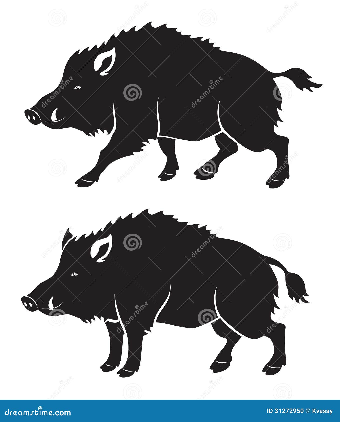 Wild Boar Sus Scrofa Piglet Standing Side View, Gravure Style Ink ...