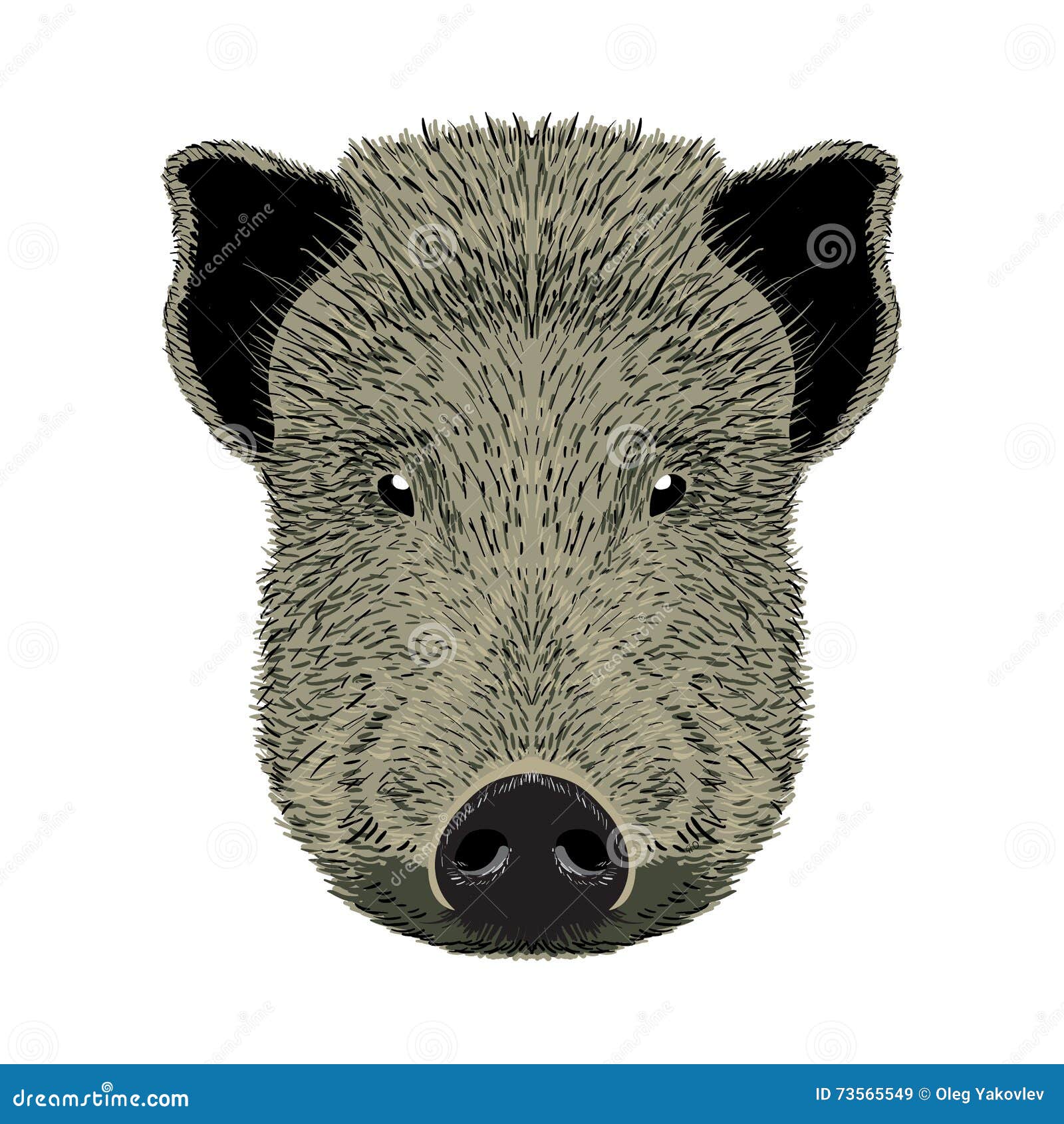 Wild boar illustration stock vector. Illustration of danger - 73565549