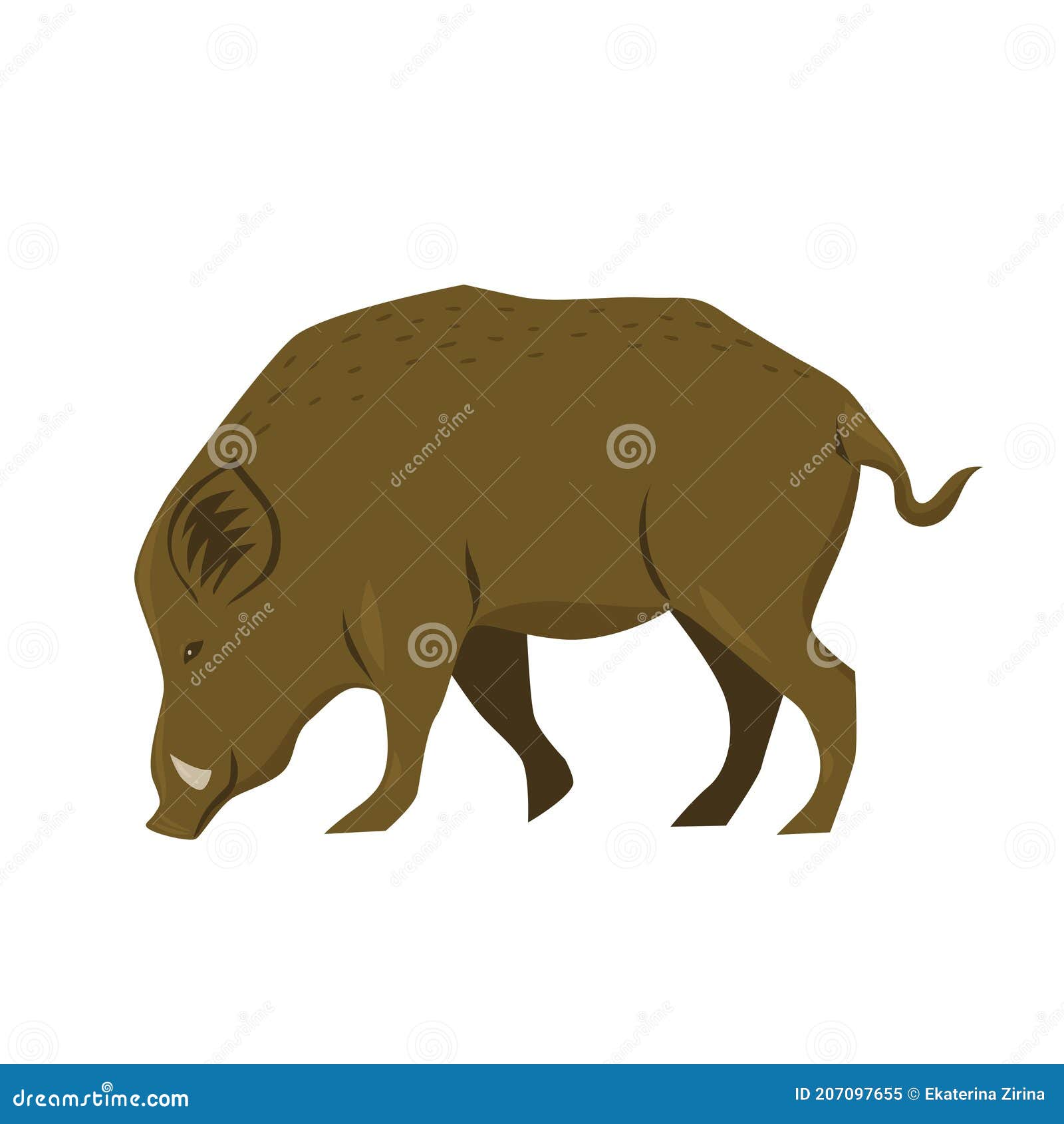 Wild Boar Isolated on White Background. Vector Graphics Stock ...