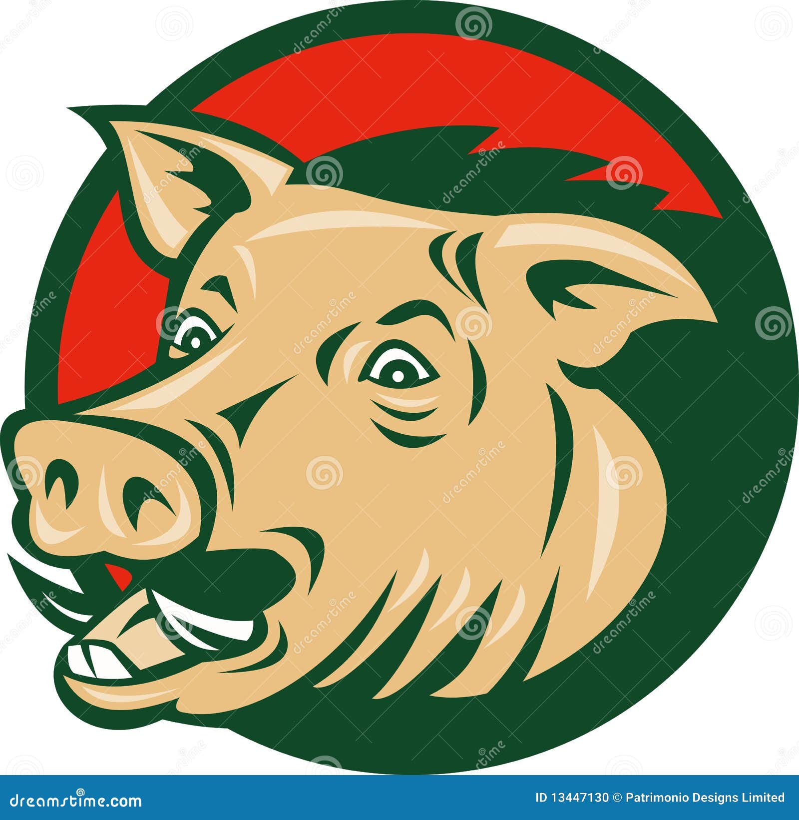 Wild Boar or Razorback Pig Hog Stock Vector - Illustration of white ...