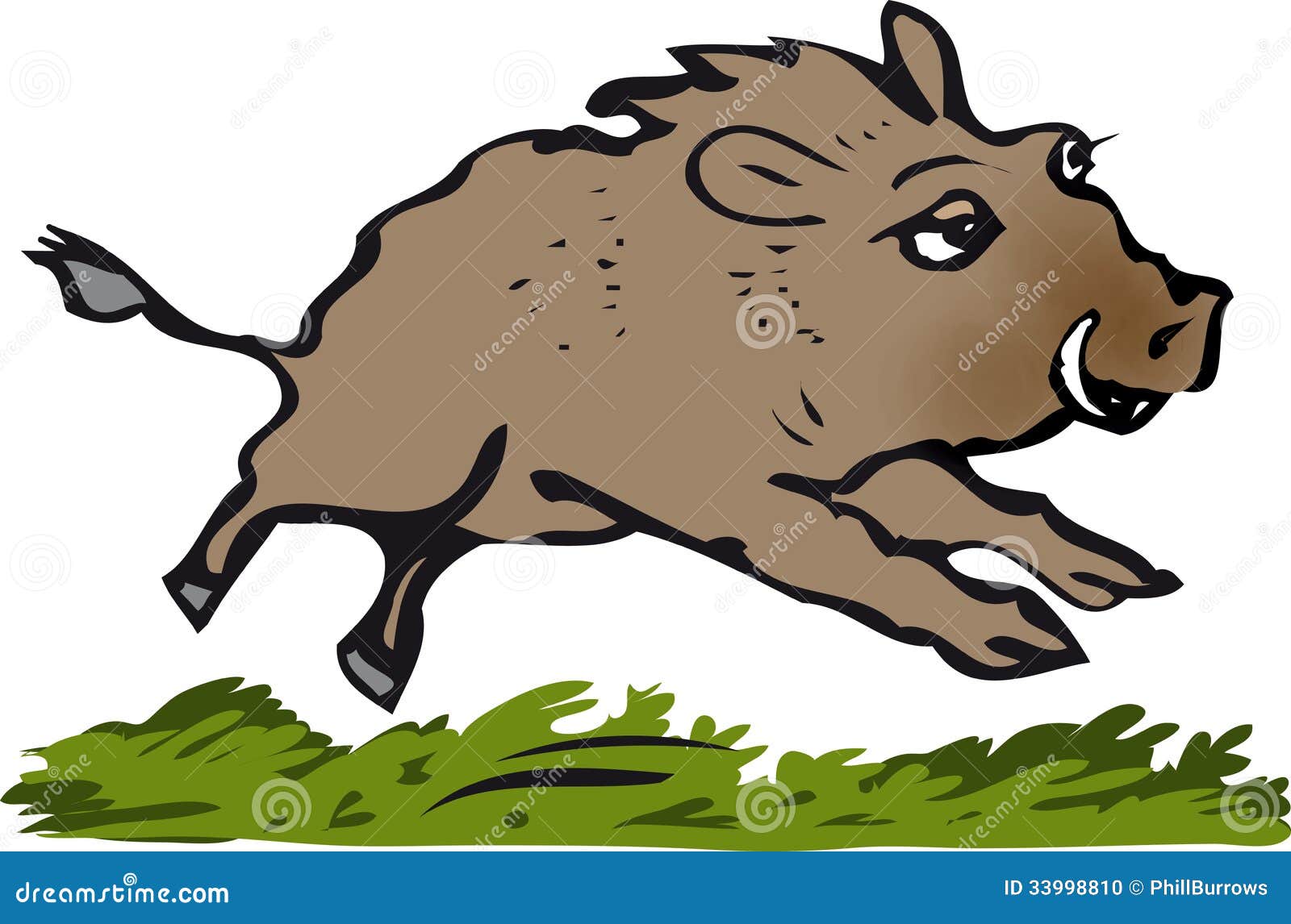 Wild boar stock vector. Illustration of wild, dangerous - 33998810