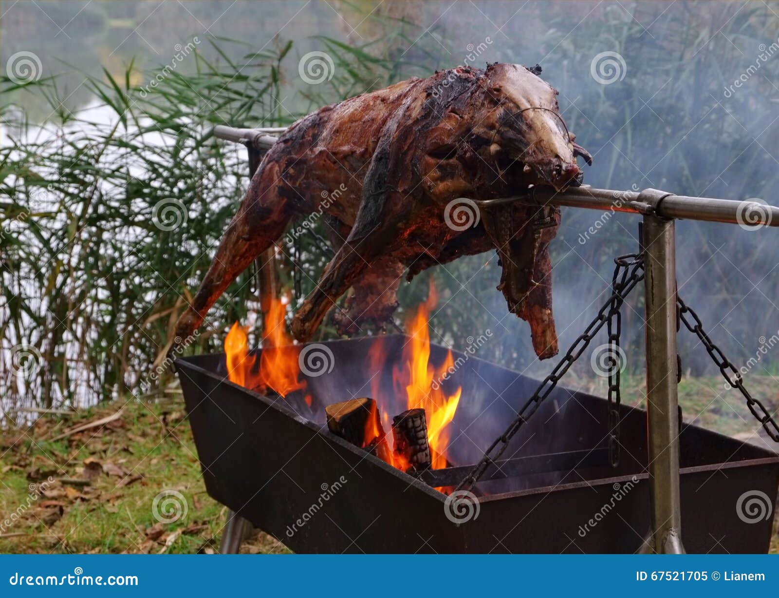 Wild boar on spit stock image. Image of pigling, charcoal - 67521705