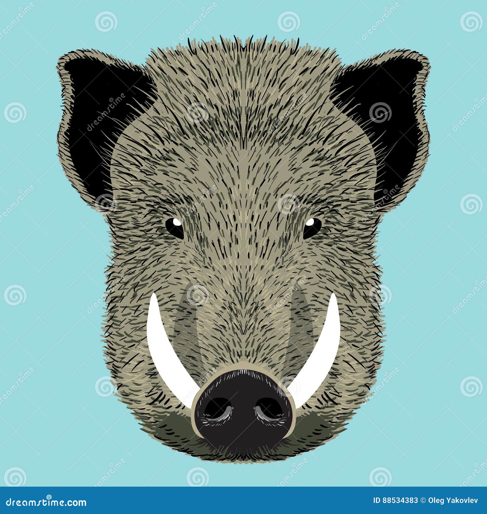 Wild boar stock vector. Illustration of emblem, sign - 88534383