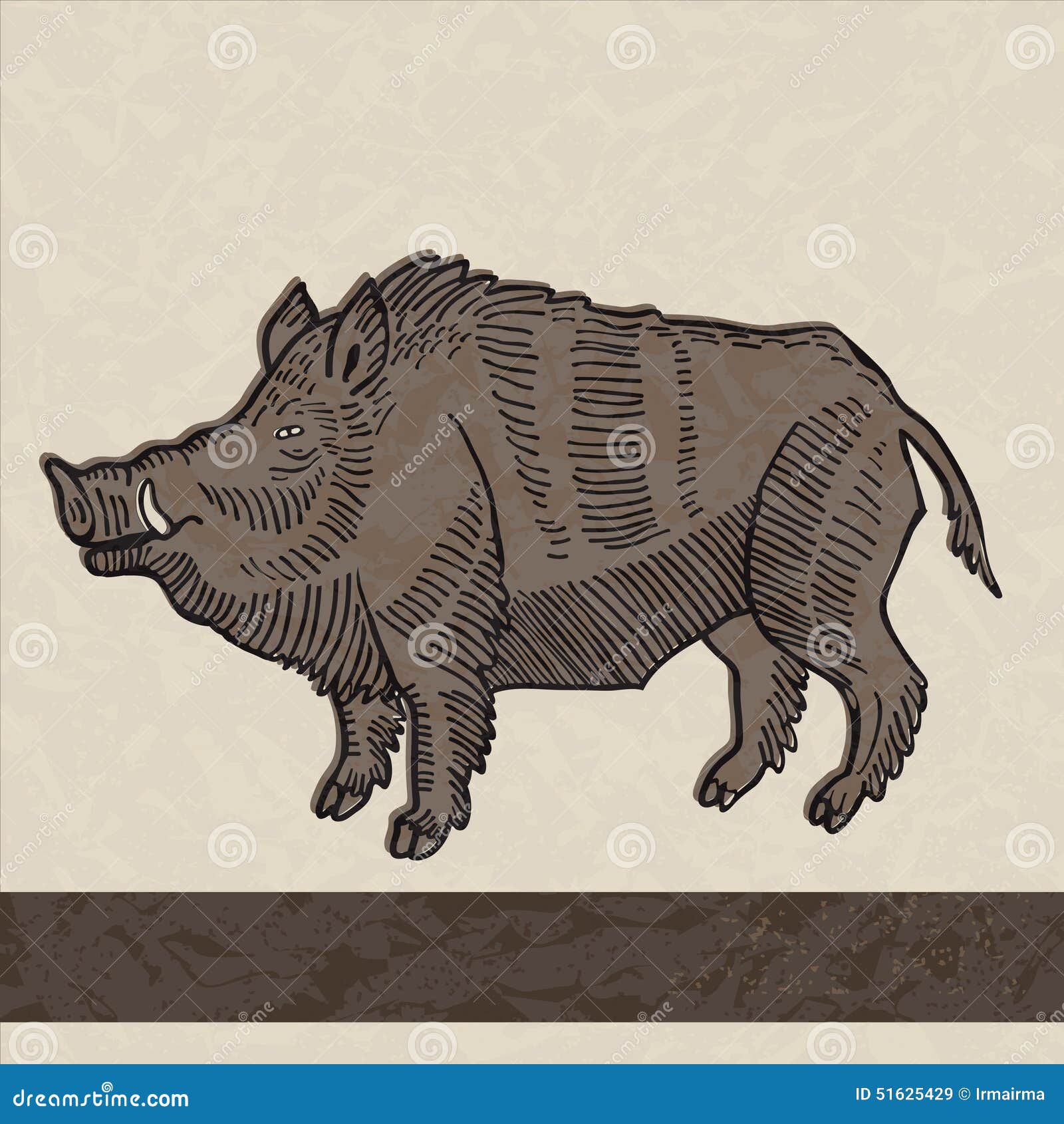 Wild boar stock vector. Illustration of tusk, boar, silhouette - 51625429