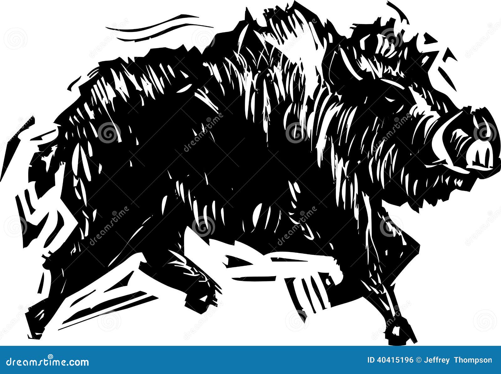 Wild Boar Sus Scrofa Collection, Pig Side View, Muzzle And Piglets ...