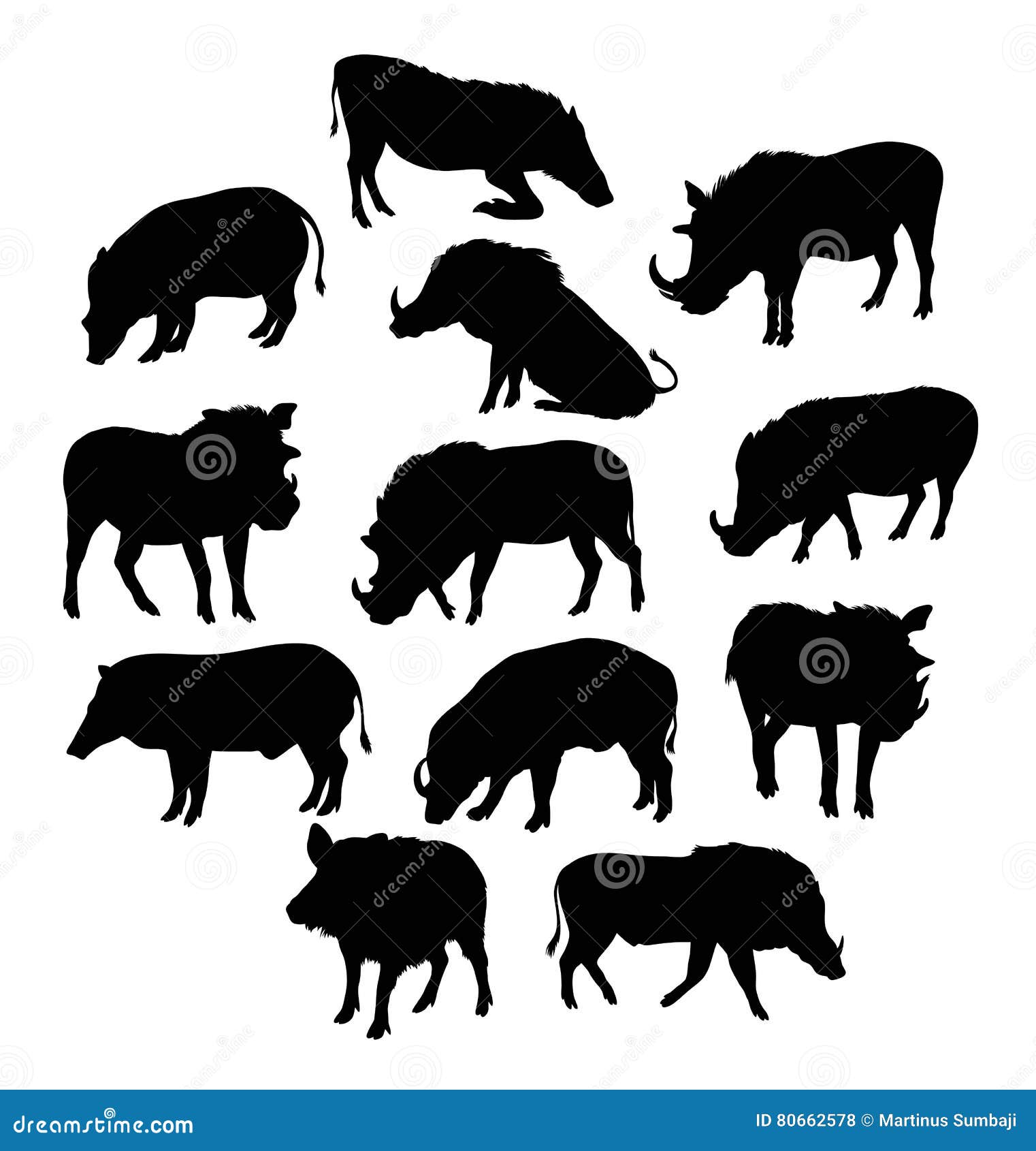 Wild Boars Silhouette stock vector. Illustration of snout - 80662578