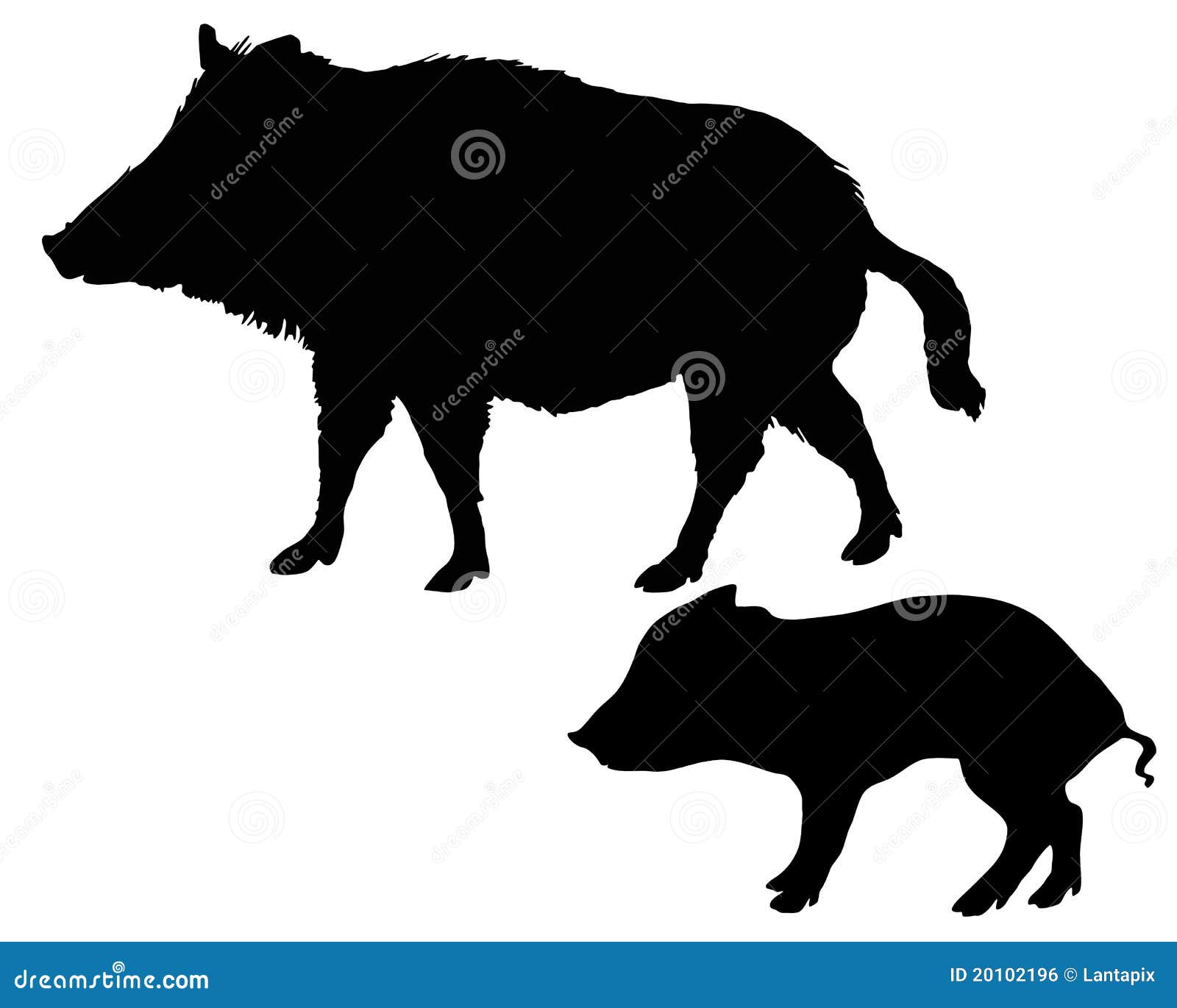 Wild boars silhouettes stock vector. Illustration of wild - 20102196