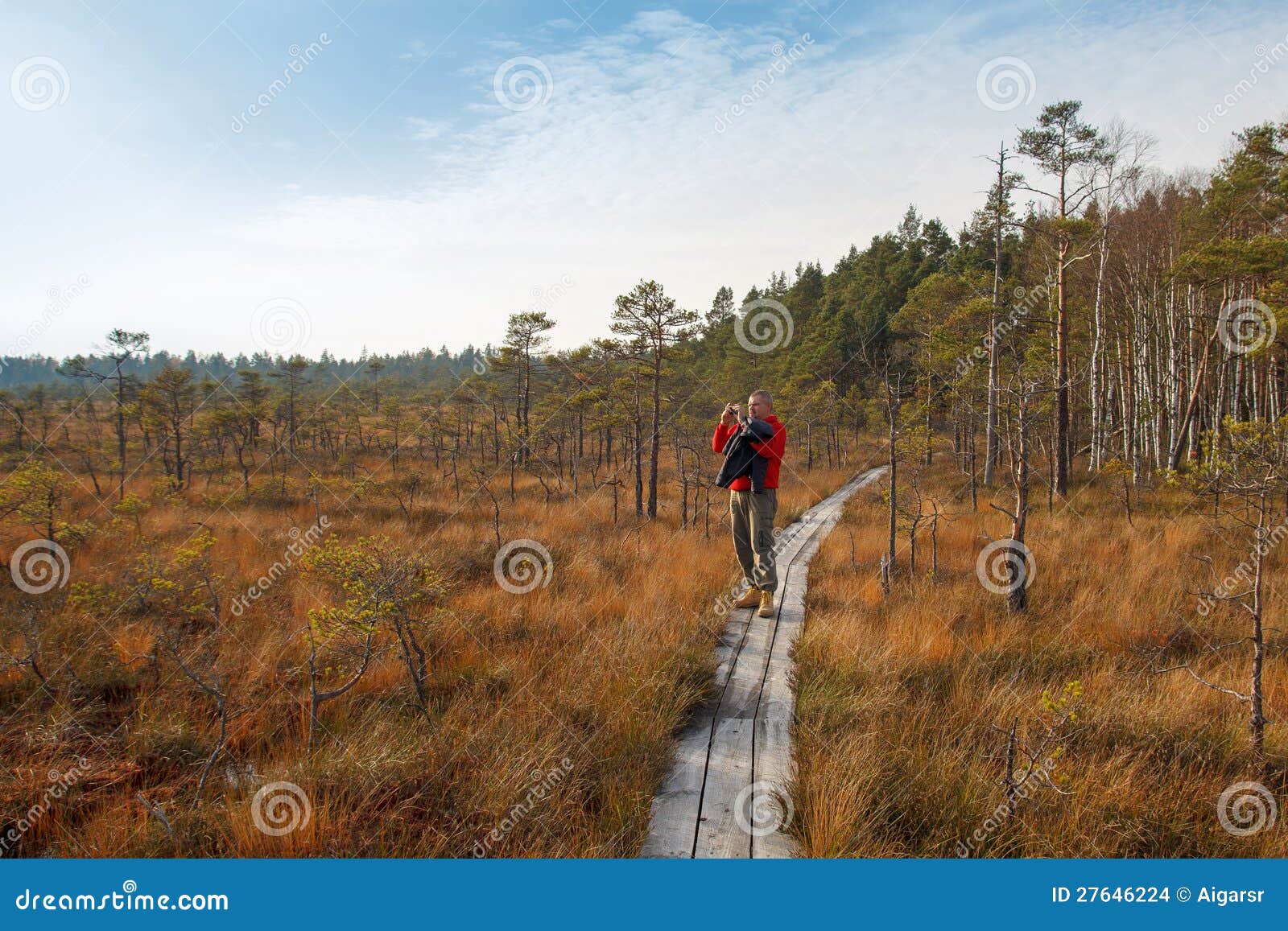 Wild bog in autumn stock photo. Image of hike, natural - 27646224