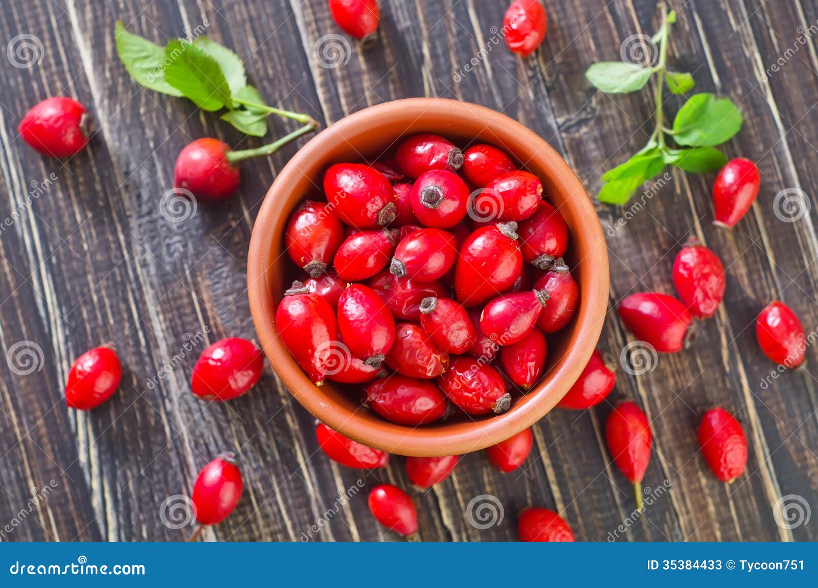 Wild-brier stock image. Image of nature, natural, design - 35384433