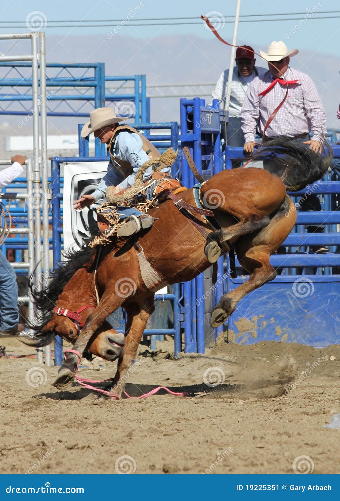Wild Bronc Rider editorial photo. Image of competitive - 19225351