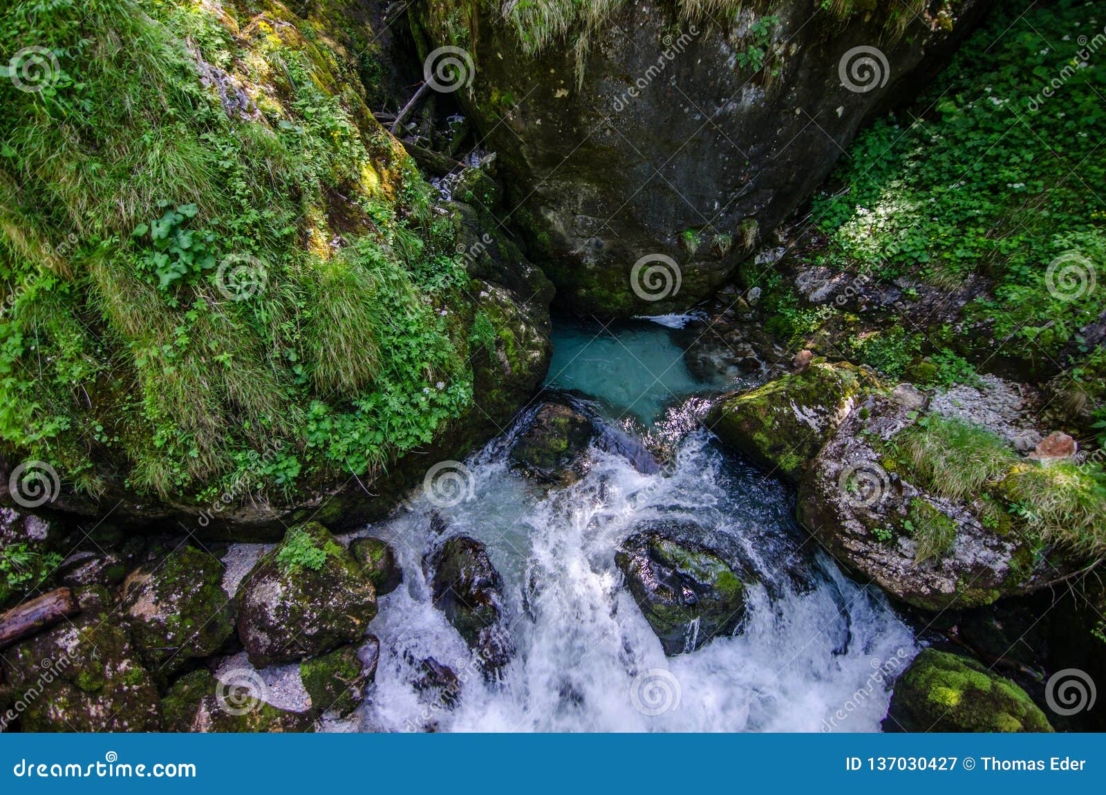 Wild Brook with Basin and Clear Water Stock Image - Image of flow, rock ...