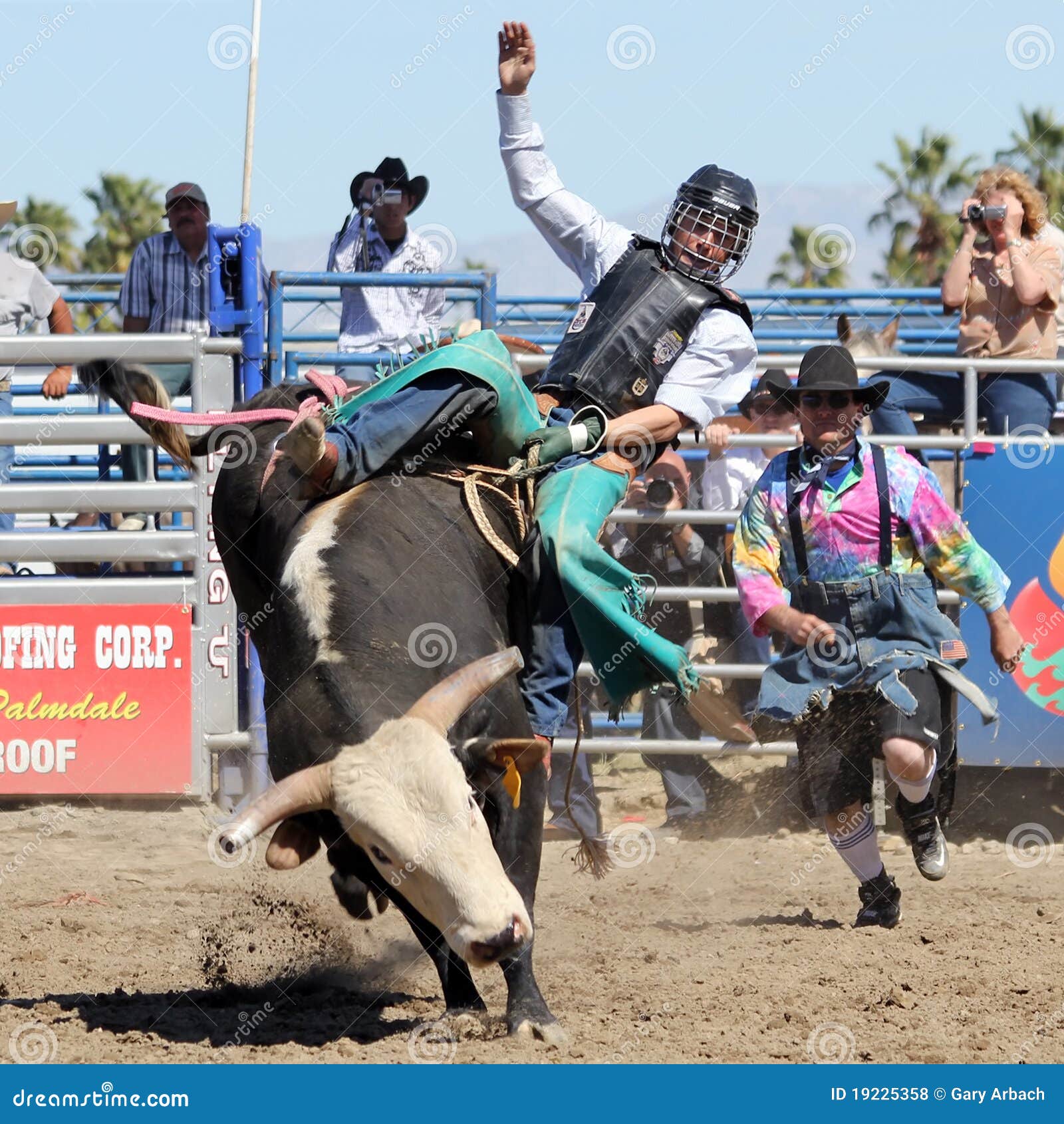 Wild Bull Rider editorial stock photo. Image of competition - 19225358