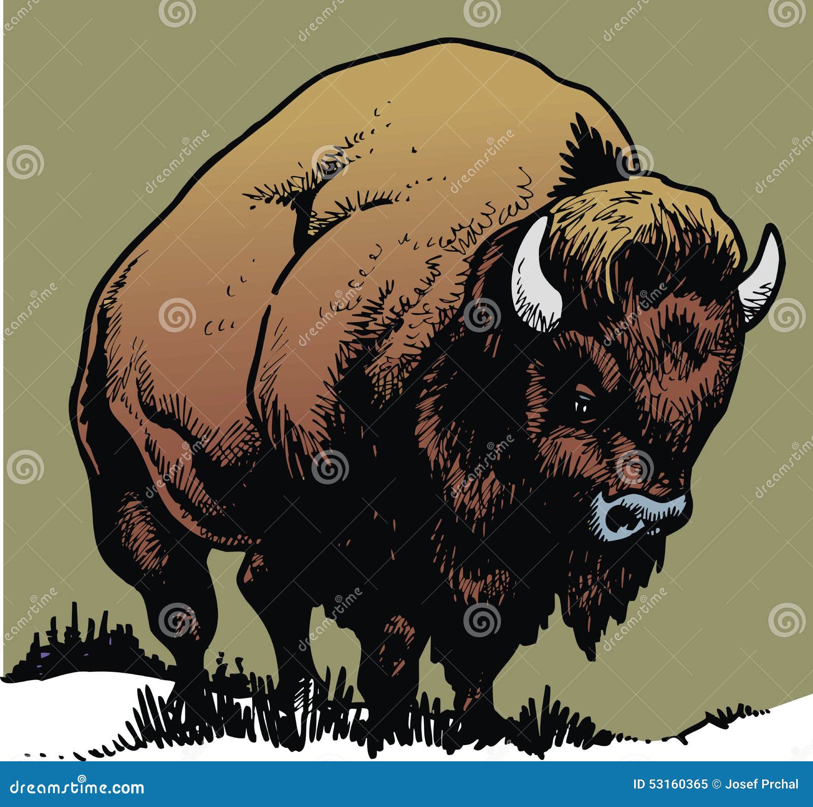 Wild Bull Stock Illustrations – 29,872 Wild Bull Stock Illustrations ...
