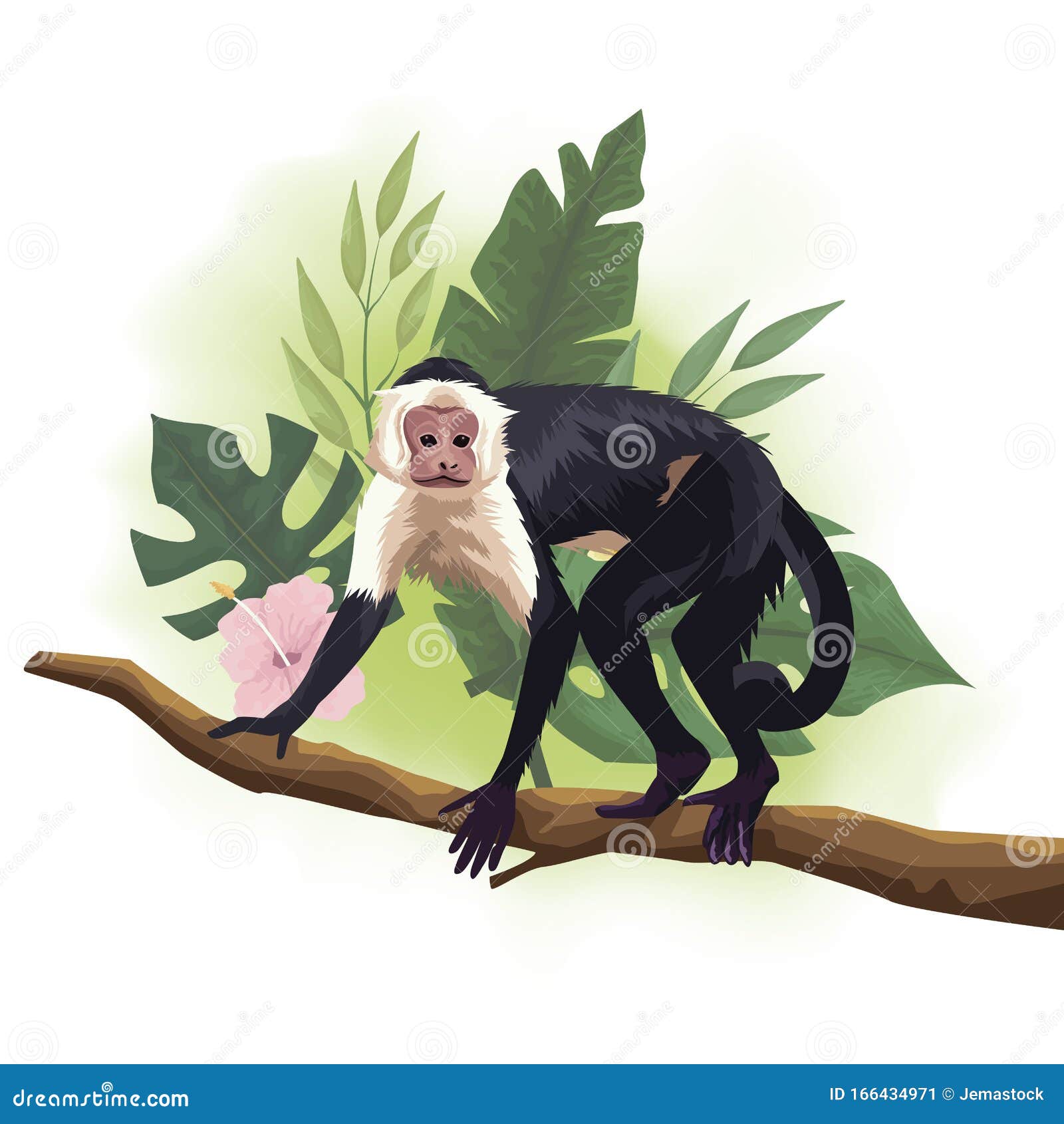 Capuchin Wild Animal Isolated Sketch, Asian Monkey Cartoon Vector ...
