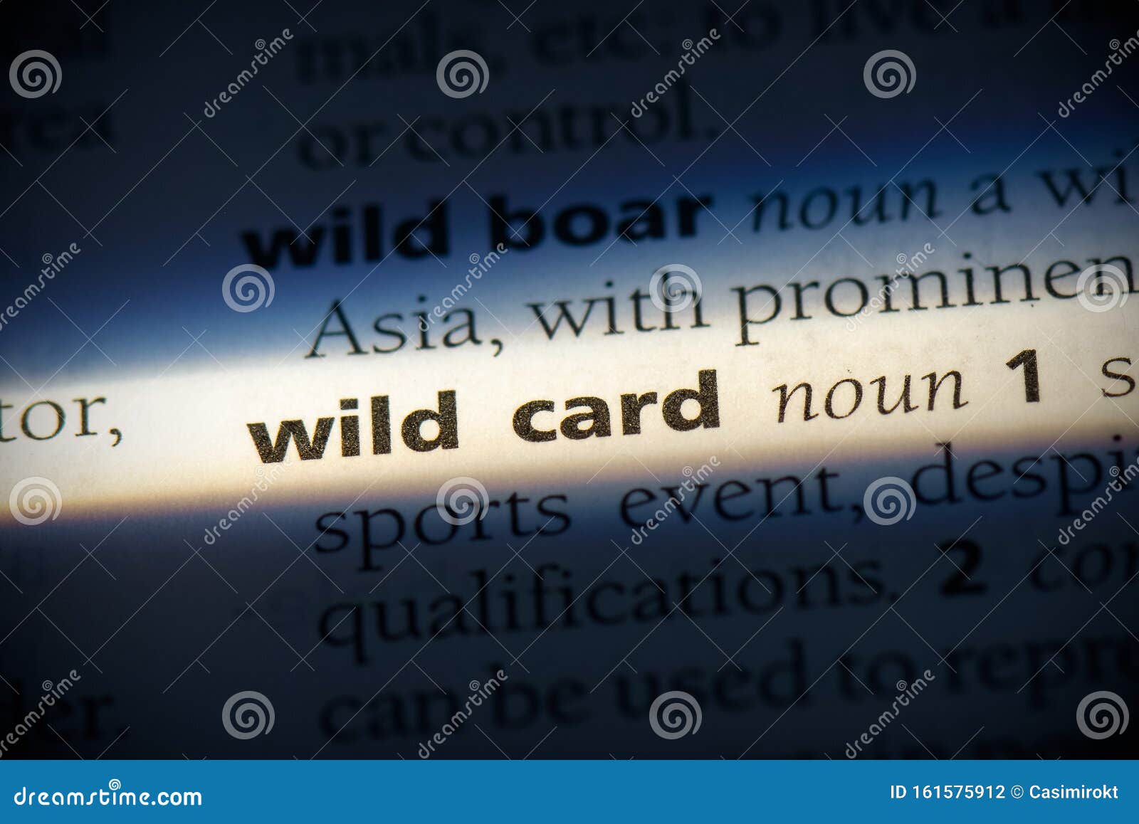 Wild card stock photo. Image of word, detail, writing - 161575912