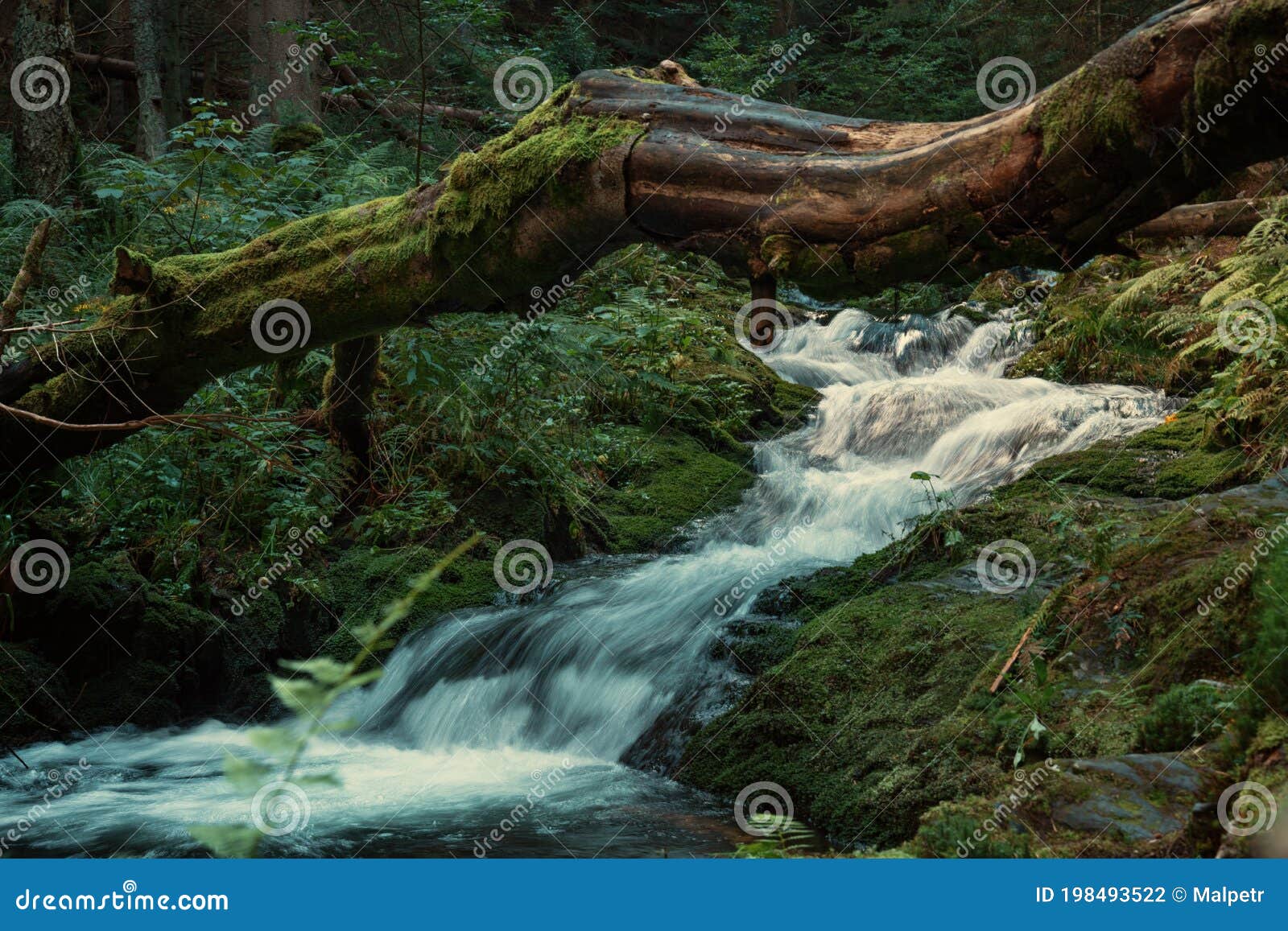 Cascade River Cascade Waterfalls Through A Forest Stock Photography ...