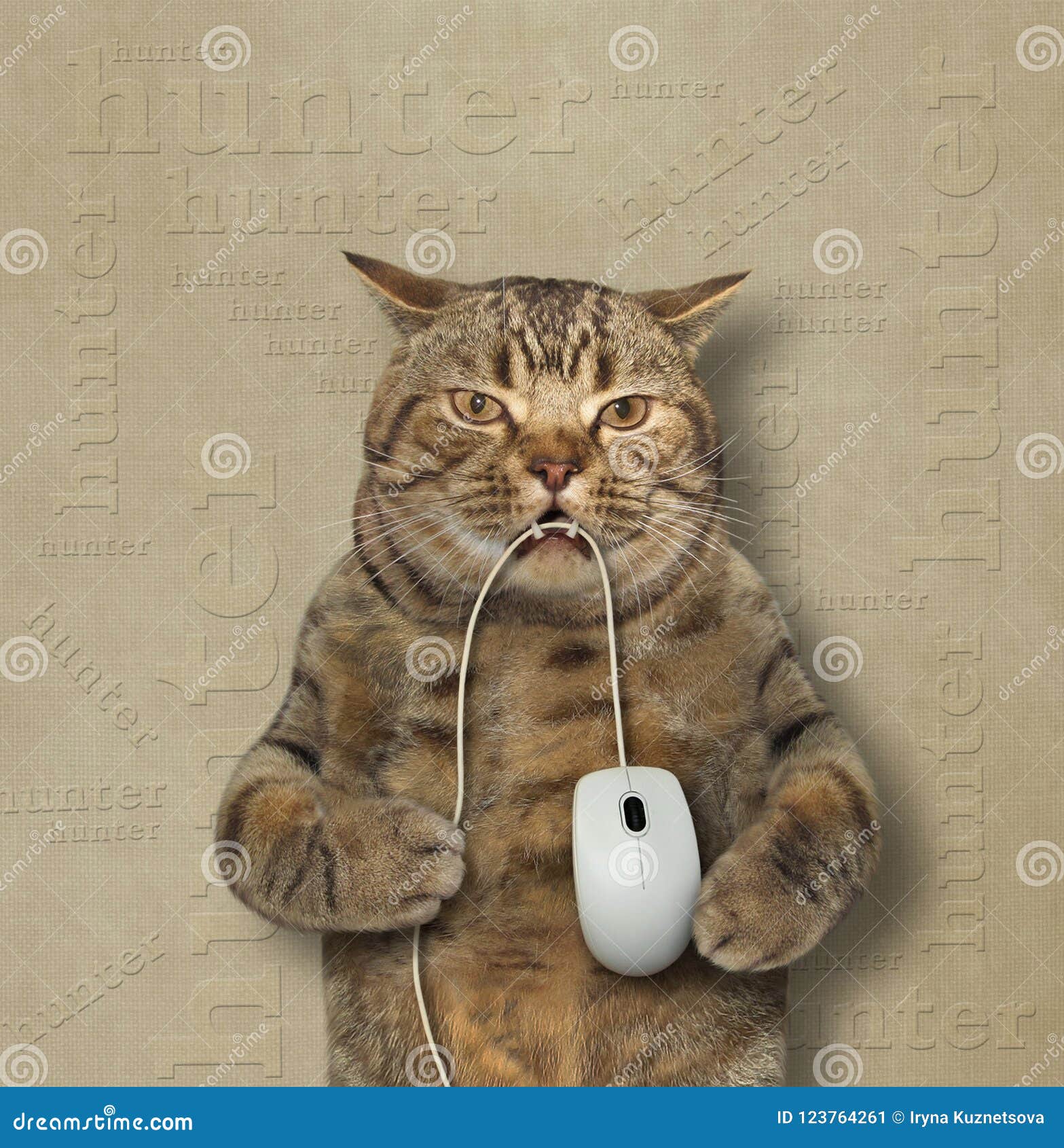 Cat with computer mouse 1 stock image. Image of predator - 123764261