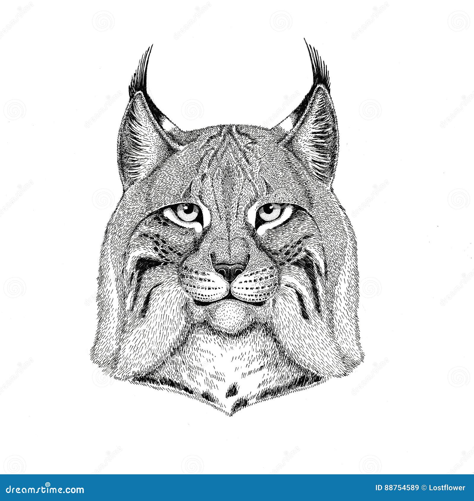 LYNX / Bobcat Head Tattoo. Psychedelic Vector Illustration ... LYNX / Bobcat Head Tattoo. Psychedelic Vector Illustration ...