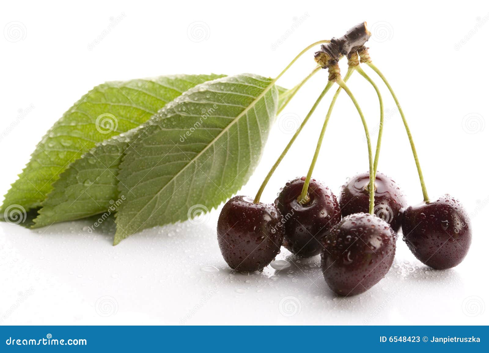 Wild Cherries Or Sweet Cherries Stock Image - Image of fragrance, aroma ...