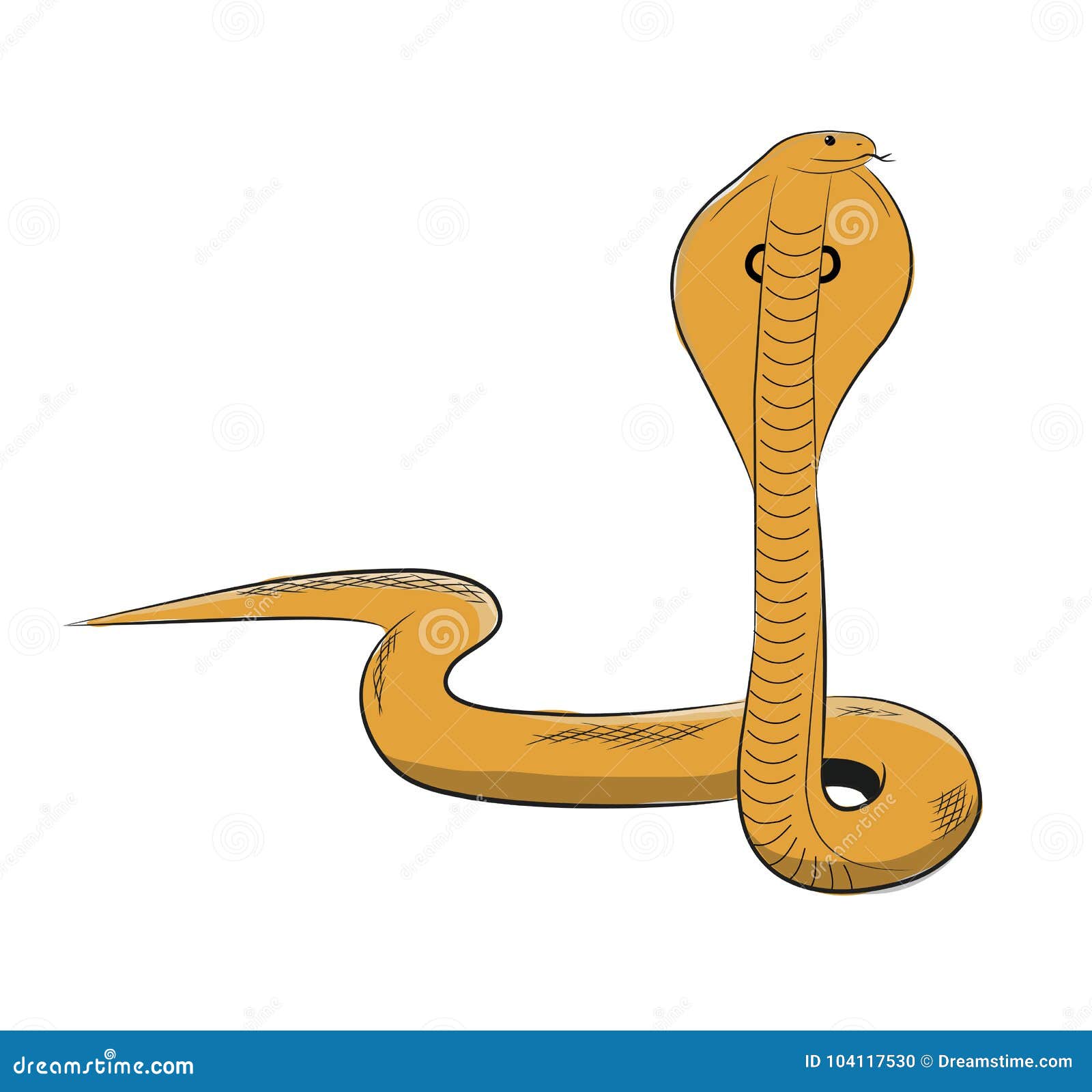 Wild Cobra Snake Vector Illustration Stock Vector - Illustration of ...
