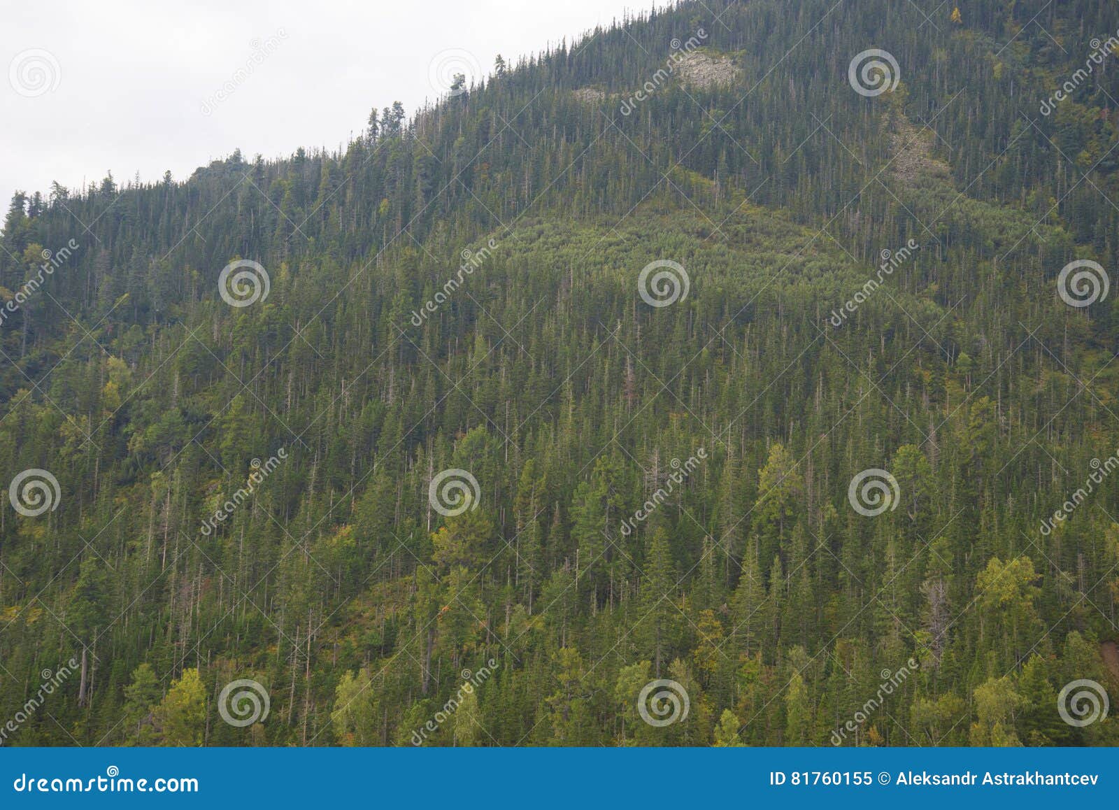 The Wild and Desolate Mountains of the Khamar-Daban. Stock Image ...