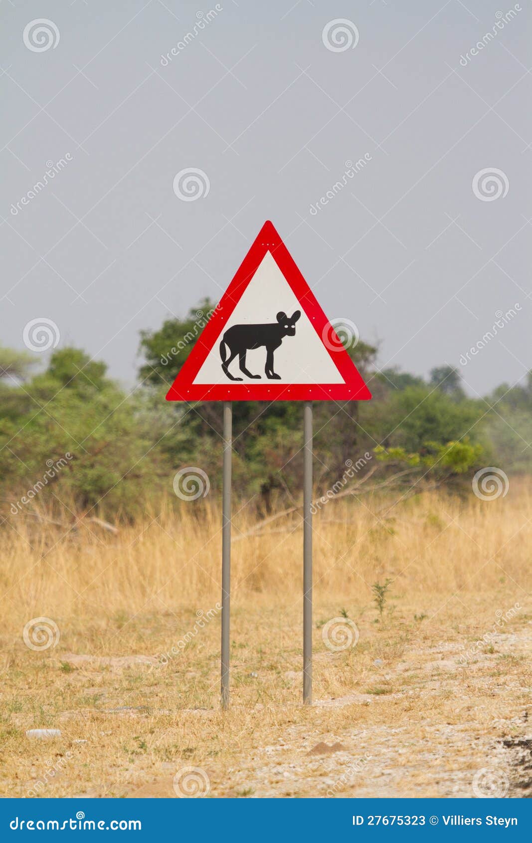 Wild dog sign stock image. Image of hunting, african - 27675323