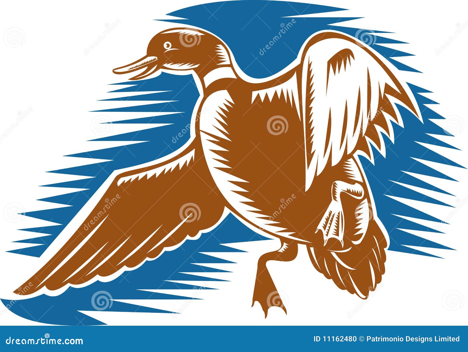 Wild Duck bird flying stock illustration. Illustration of flying - 11162480
