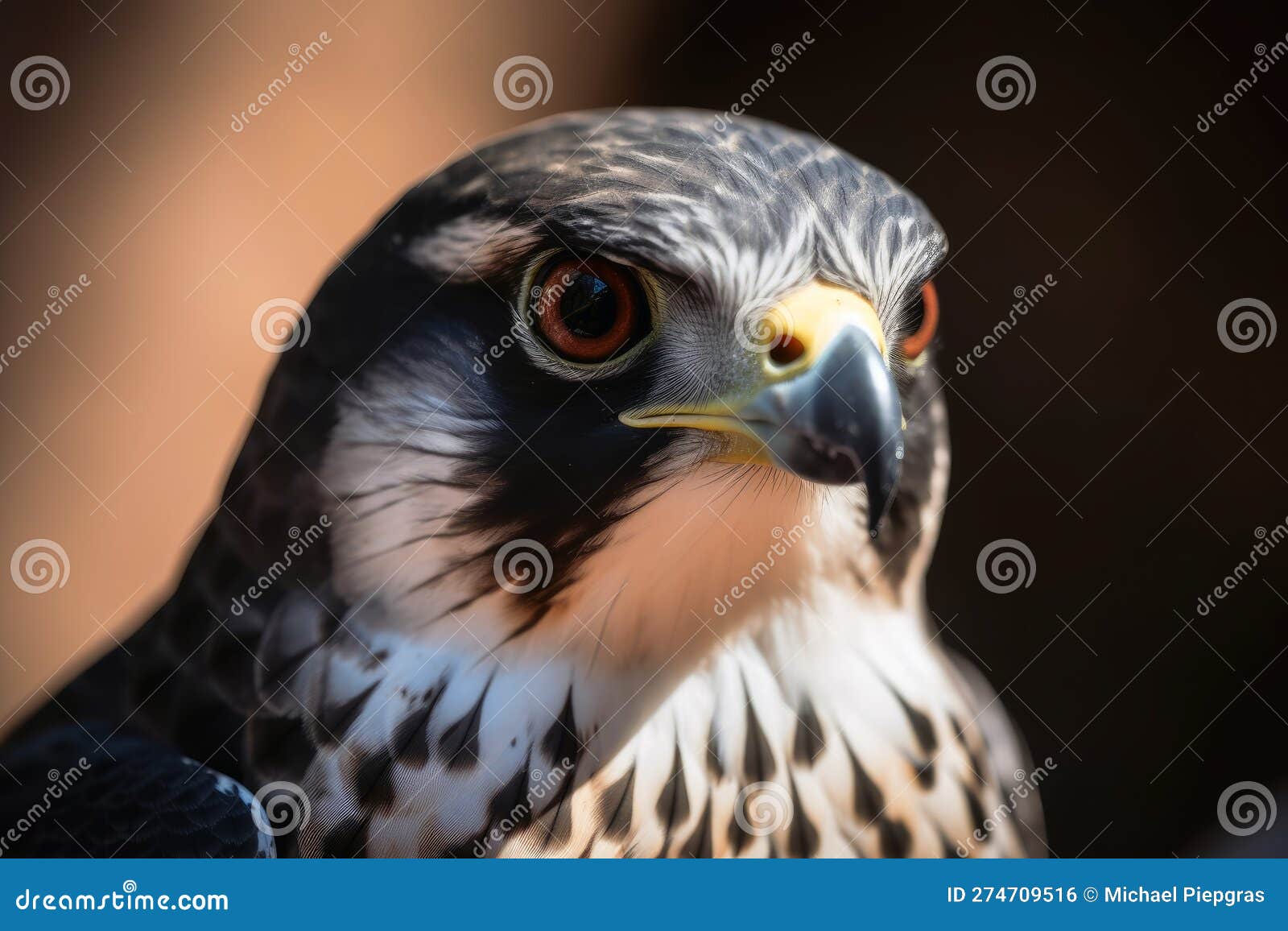 A Wild Falcon in a Close Up View Created with Generative AI Technology ...