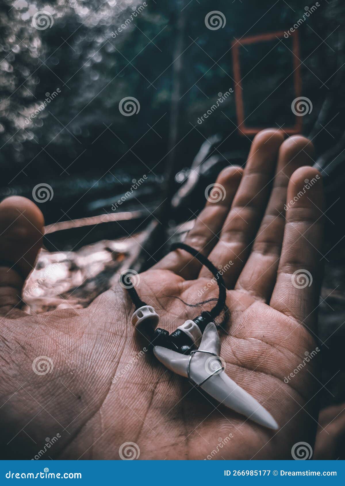 Wild fangs hand stock image. Image of person, darkness - 266985177
