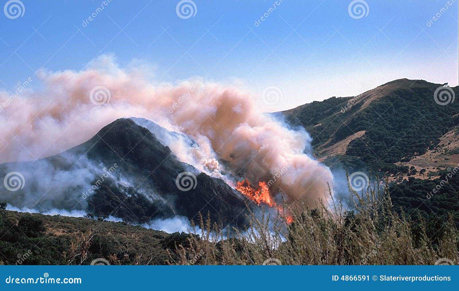 46,927 Fire Wild Photos - Free & Royalty-Free Stock Photos from Dreamstime