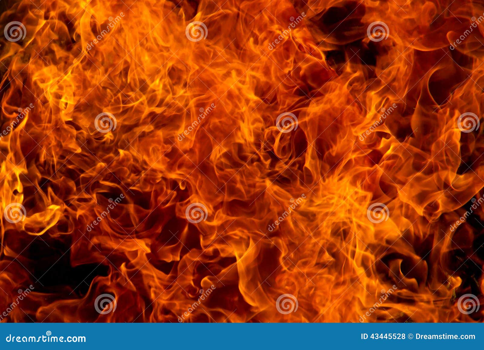 Wild fire stock photo. Image of wild, burn, flame, light - 43445528