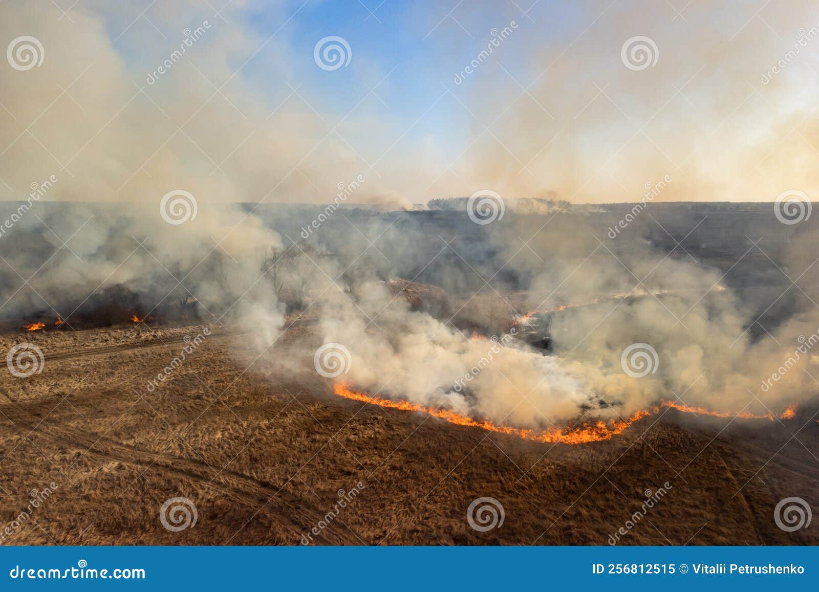 Dangerous Wildfire in Field Stock Image - Image of environment, nature ...