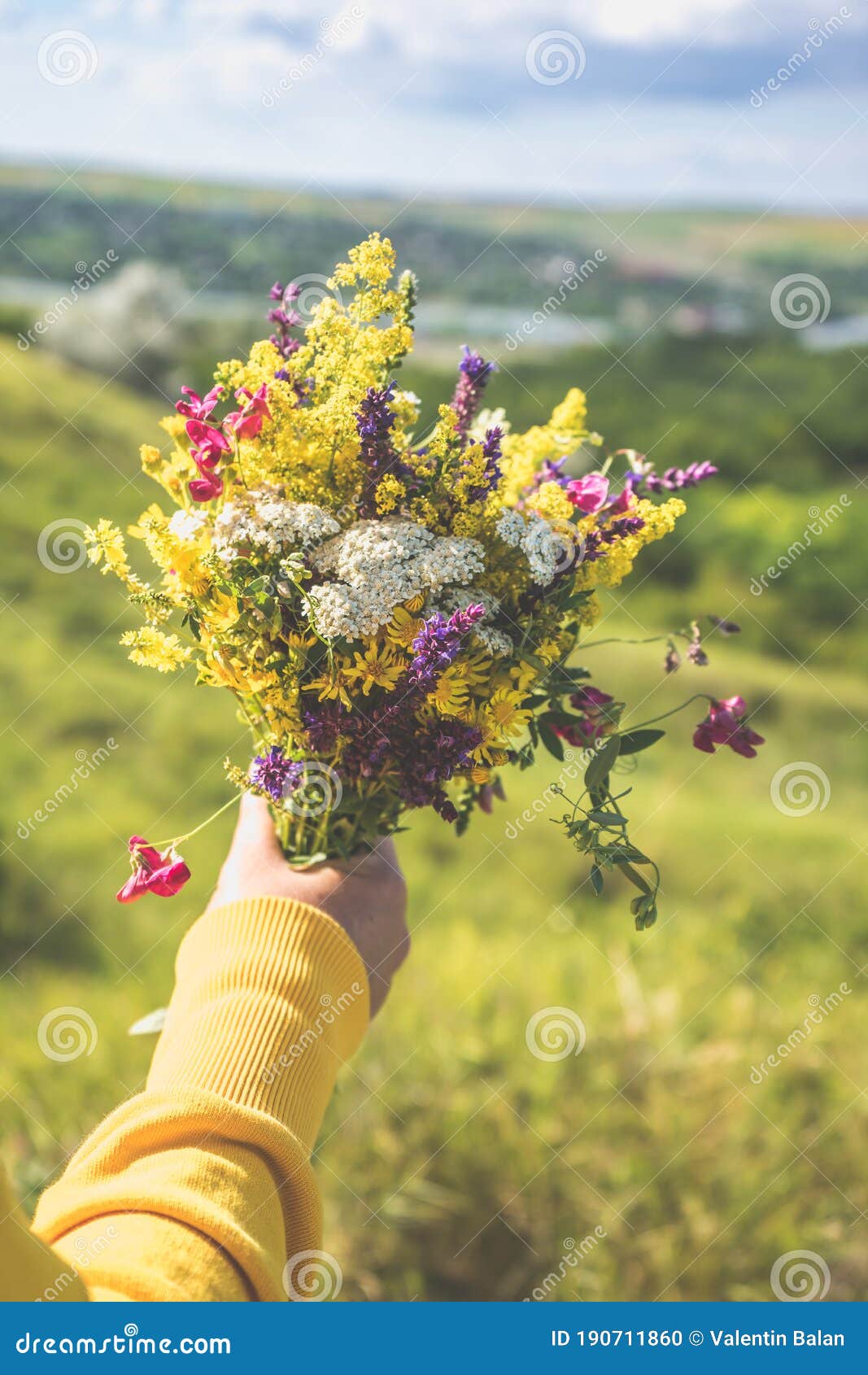 Wild flower bouquet stock photo. Image of natural, flower - 190711860