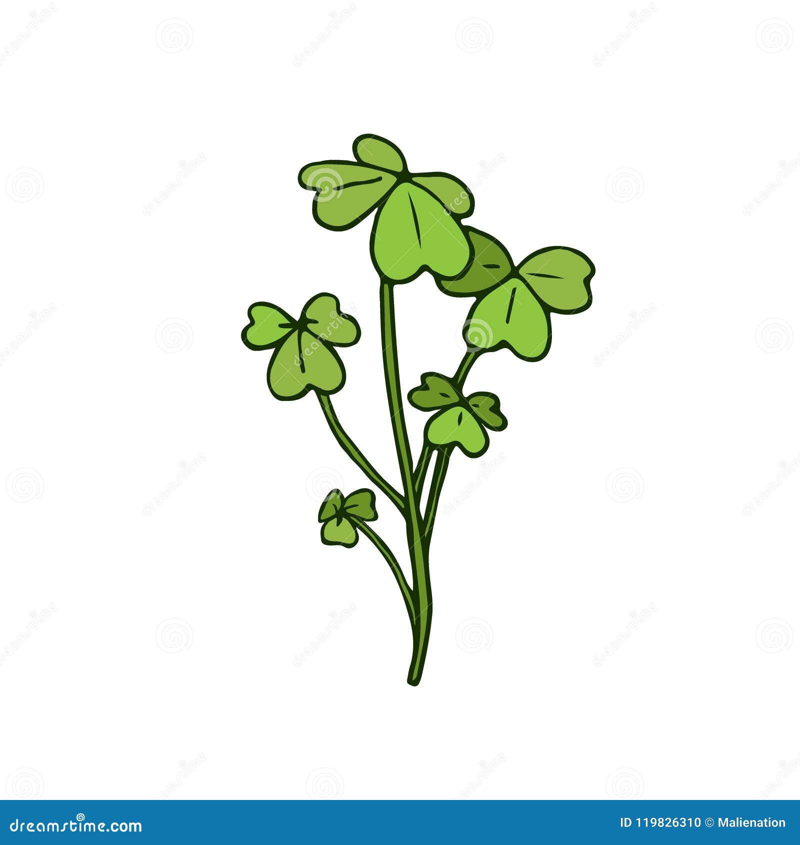 Wild Flower Illustration. Shamrock Herbal. Vector Art. Stock Vector ...