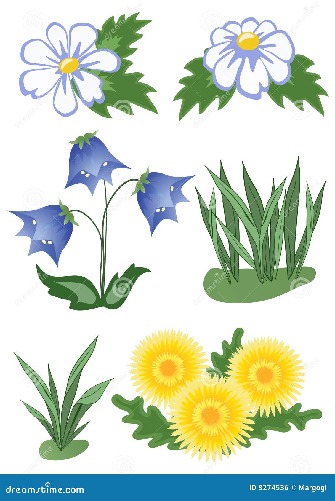 Wild flowers stock vector. Illustration of colored, bellflower - 8274536