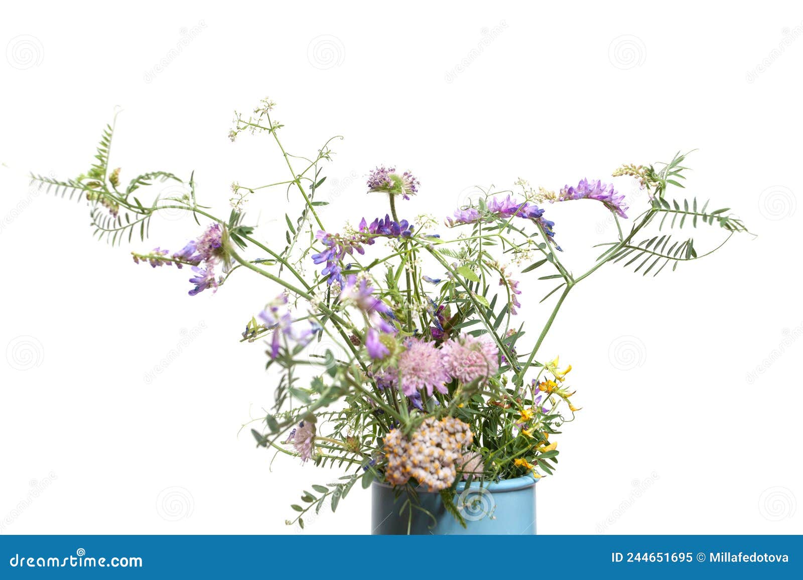 Wild Flowers Bouquet Isolated on White Stock Image - Image of design ...