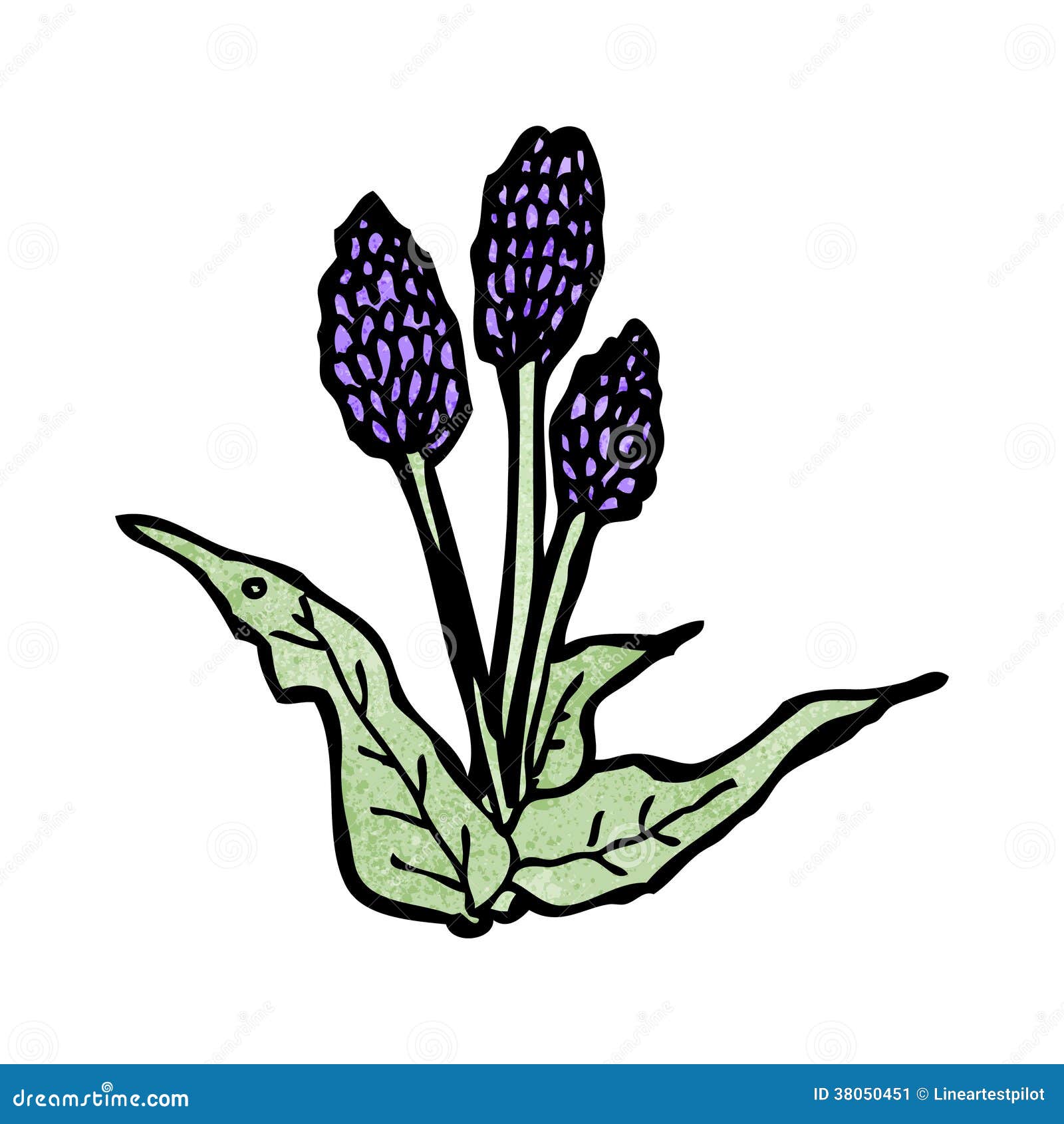 Wild flowers cartoon stock vector. Illustration of drawn - 38050451