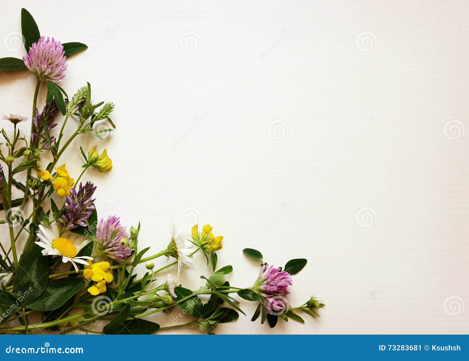 Wild flowers corner stock image. Image of decoration - 73283681